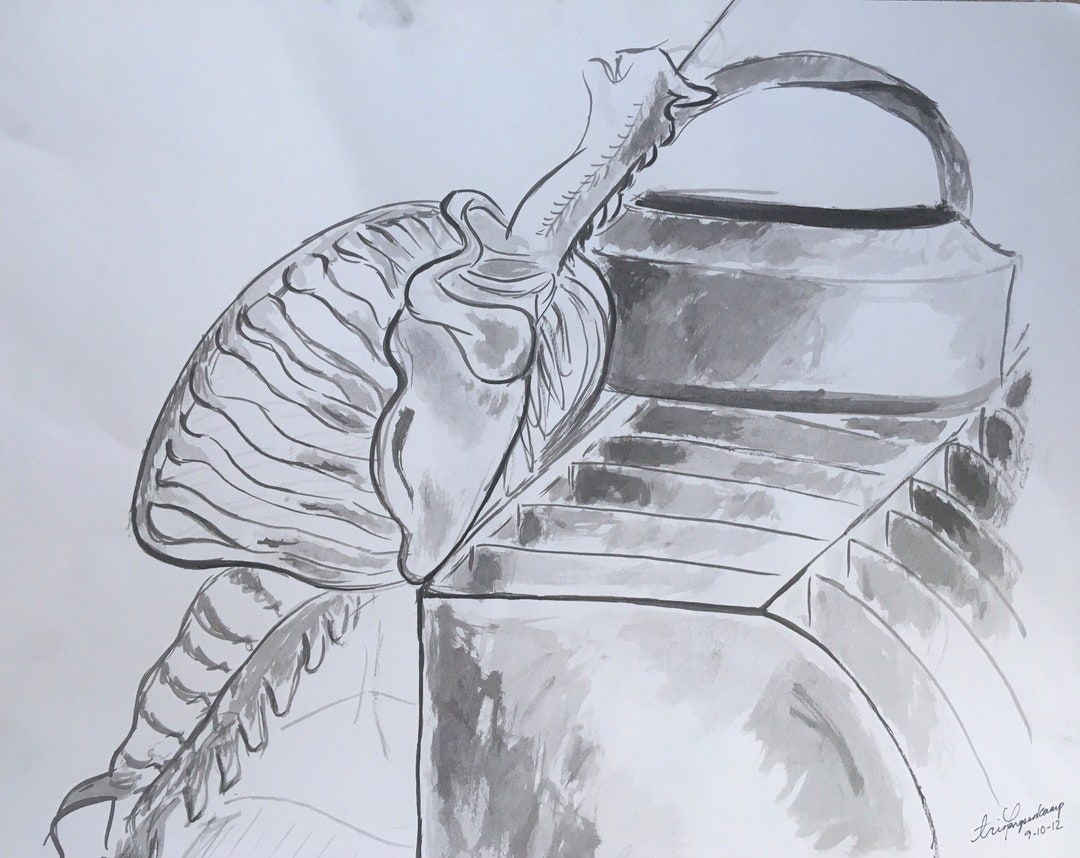 Skeleton Still Life 2, 18x24” Sumi Ink on Paper - Etsy