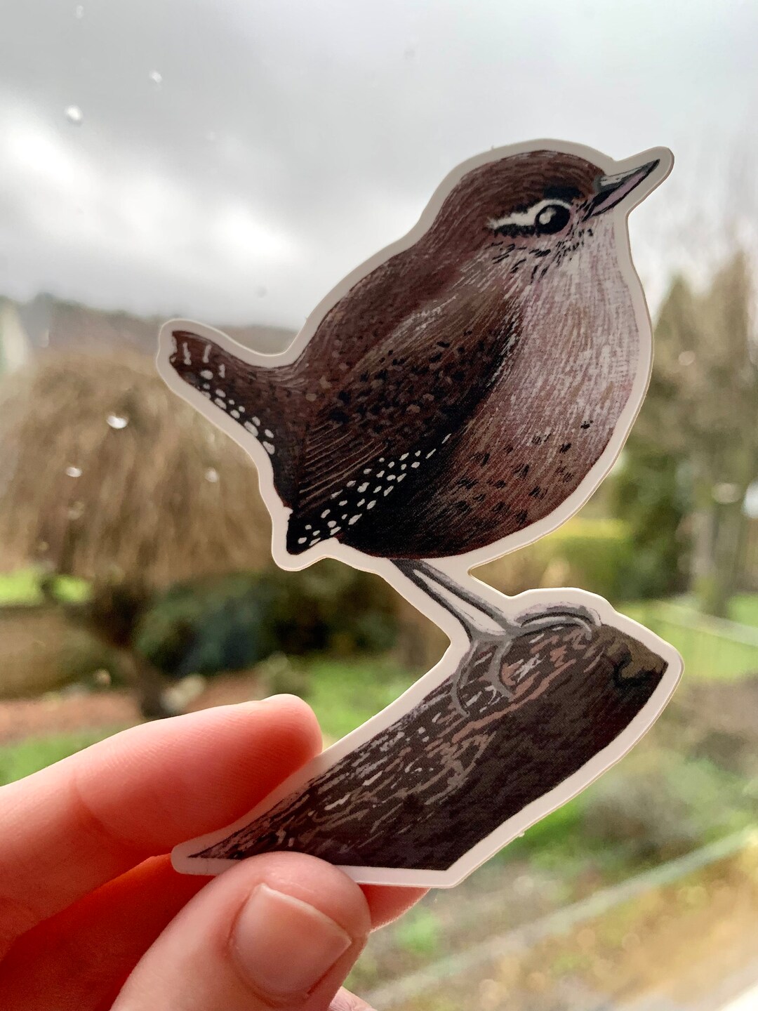 Large Wren Stickers // Waterproof Vinyl Stickers // Bird Stickers - Etsy
