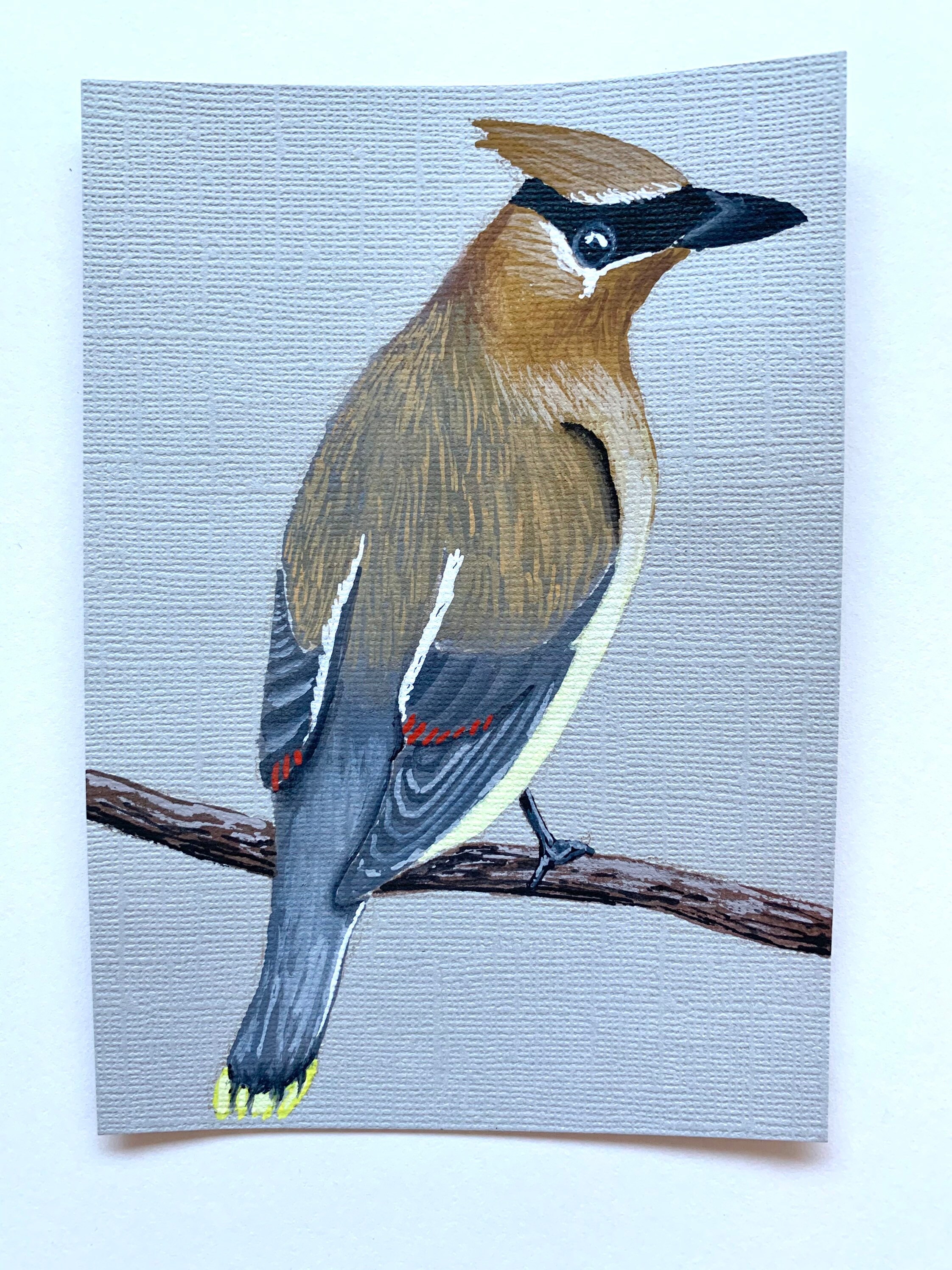 Gouache Bird Paintings // Original Artwork // A6 Bird Art - Etsy Ireland