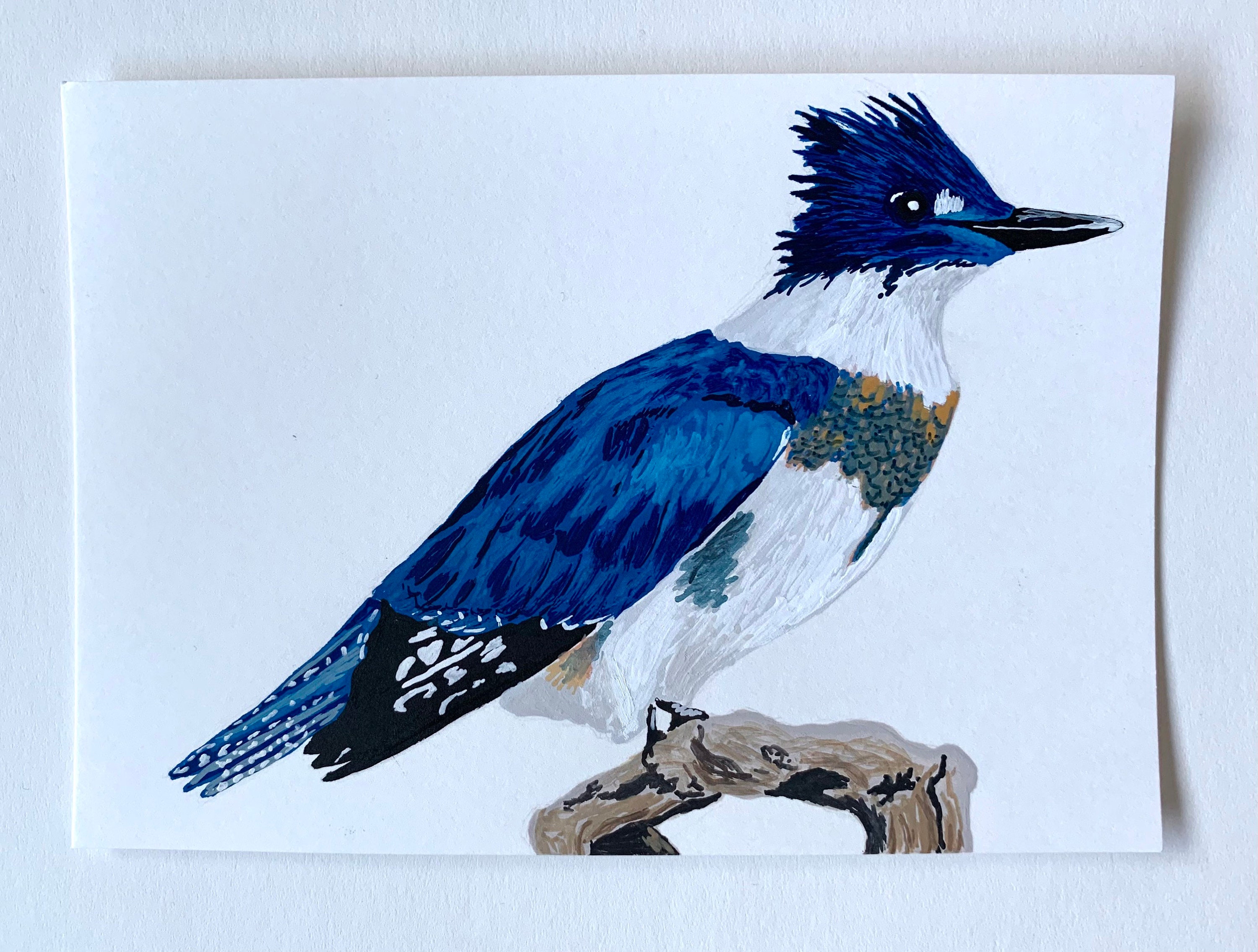 Gouache Bird Paintings // Original Artwork // A6 Bird Art | Etsy