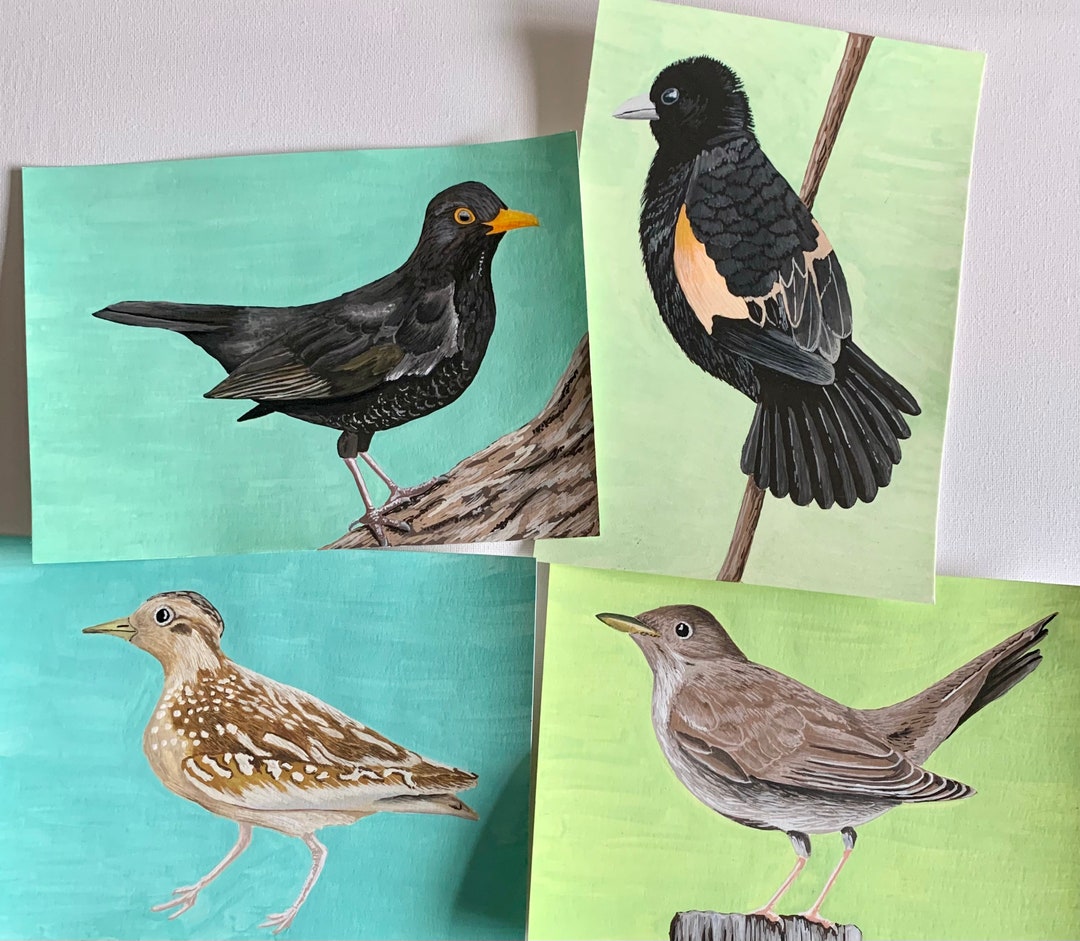 Gouache Bird Painting // Original Animal Artwork - Etsy