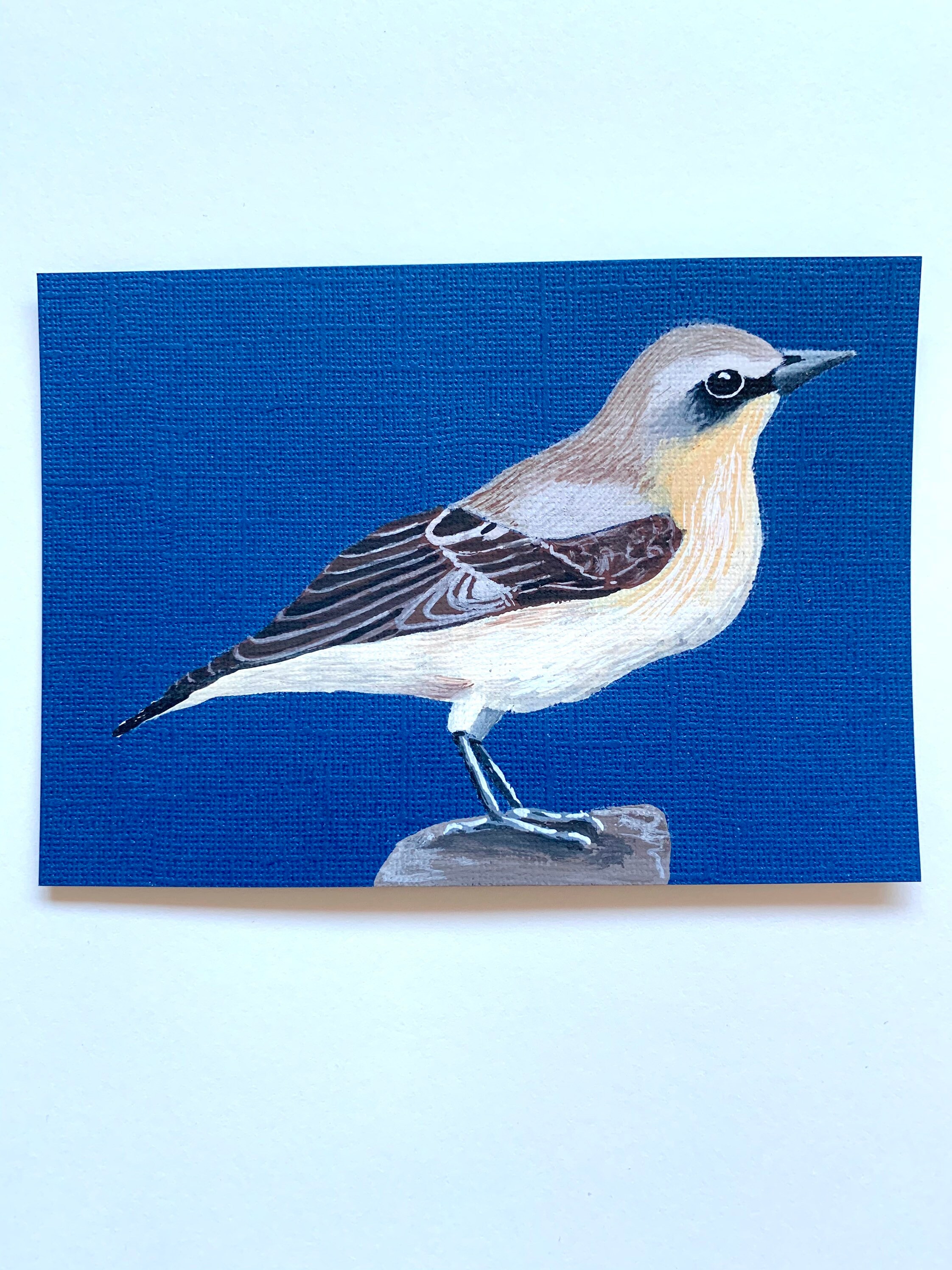 Gouache Bird Paintings // Original Artwork // A6 Bird Art - Etsy UK