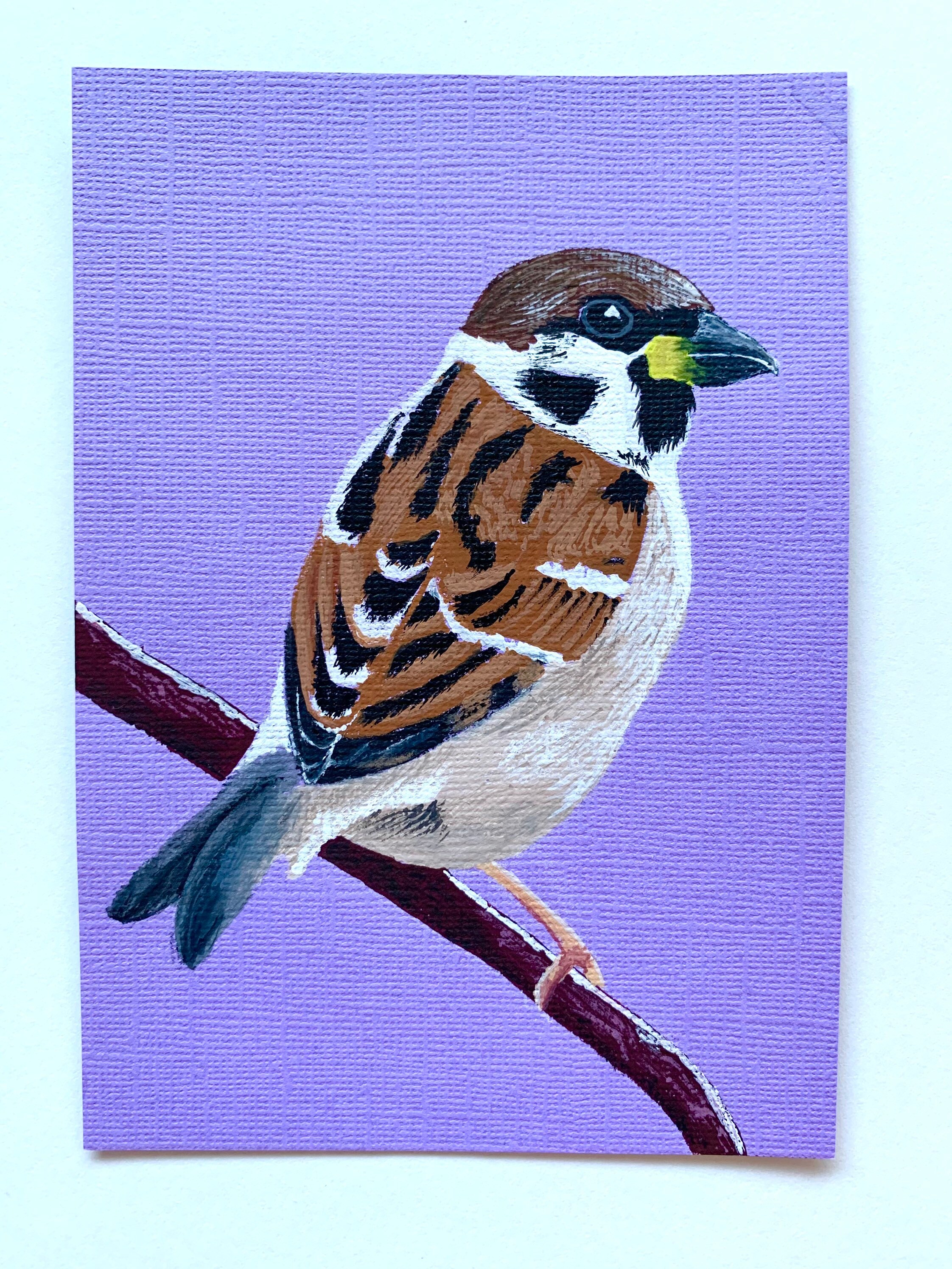 Gouache Bird Paintings / Original Artwork / A6 Bird Art | Etsy