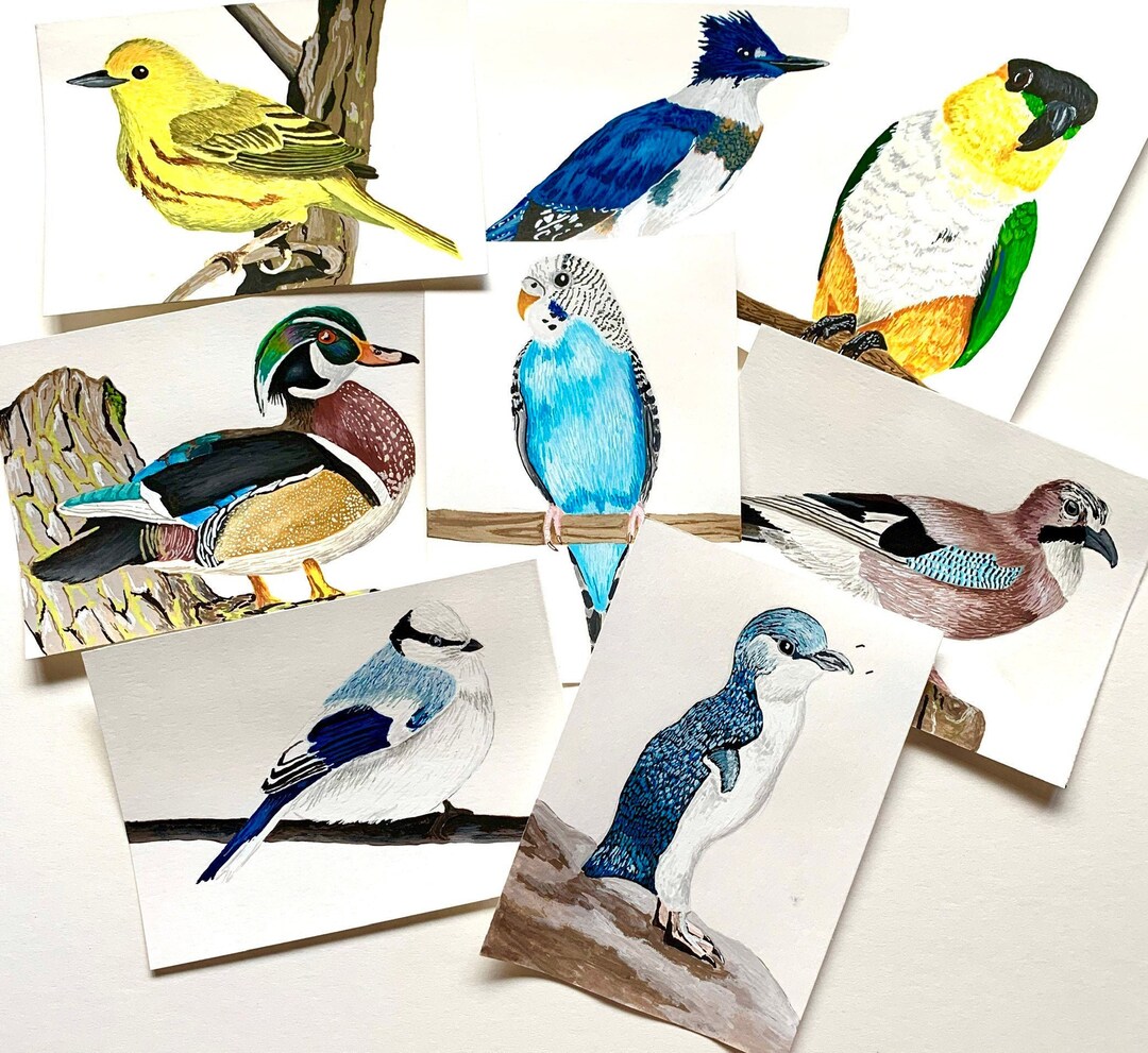 Gouache Bird Paintings // Original Artwork // A6 Bird Art - Etsy