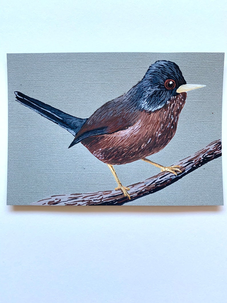 Gouache Bird Paintings // Original Artwork // A6 Bird Art - Etsy Ireland