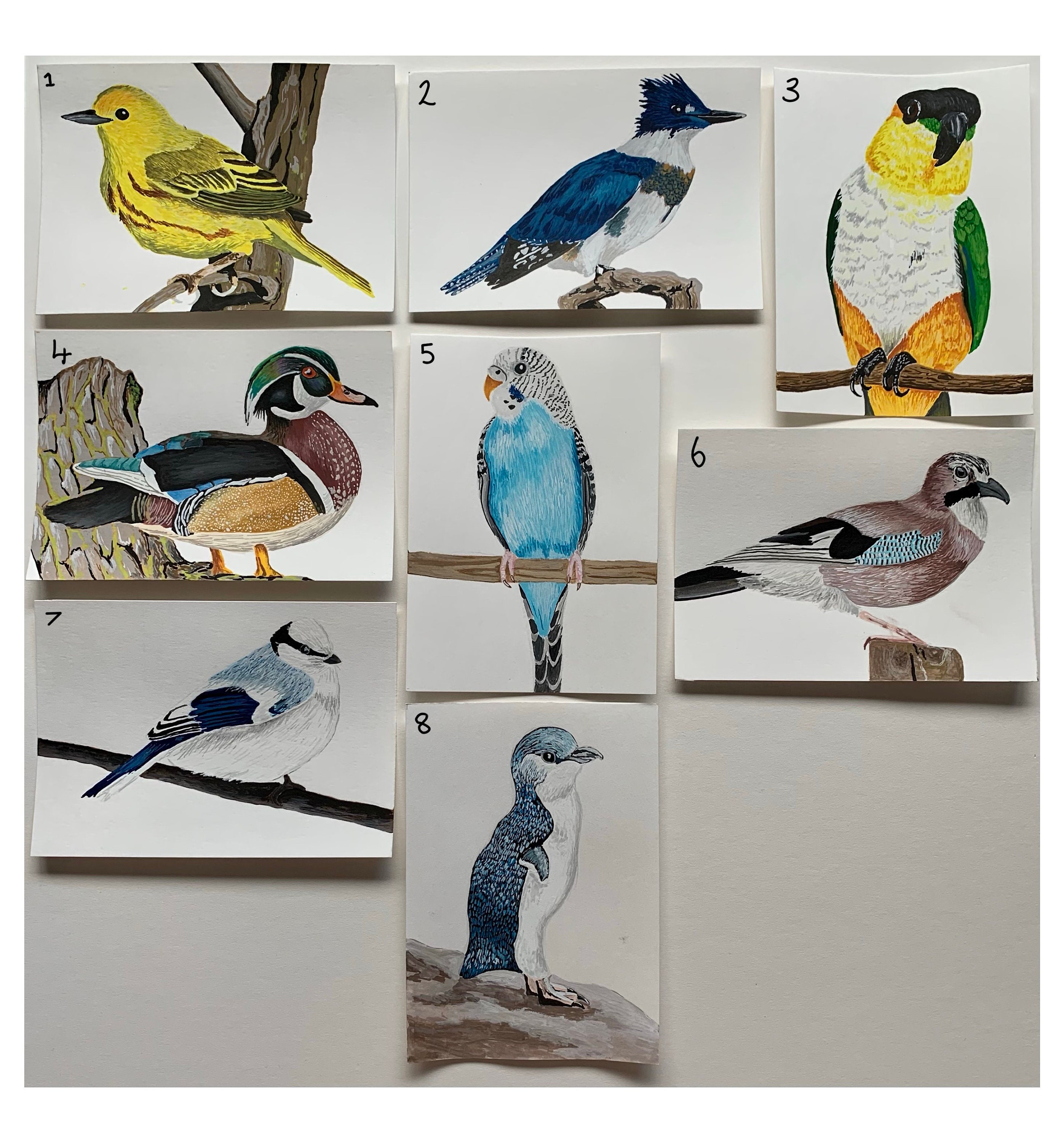 Gouache Bird Paintings // Original Artwork // A6 Bird Art | Etsy