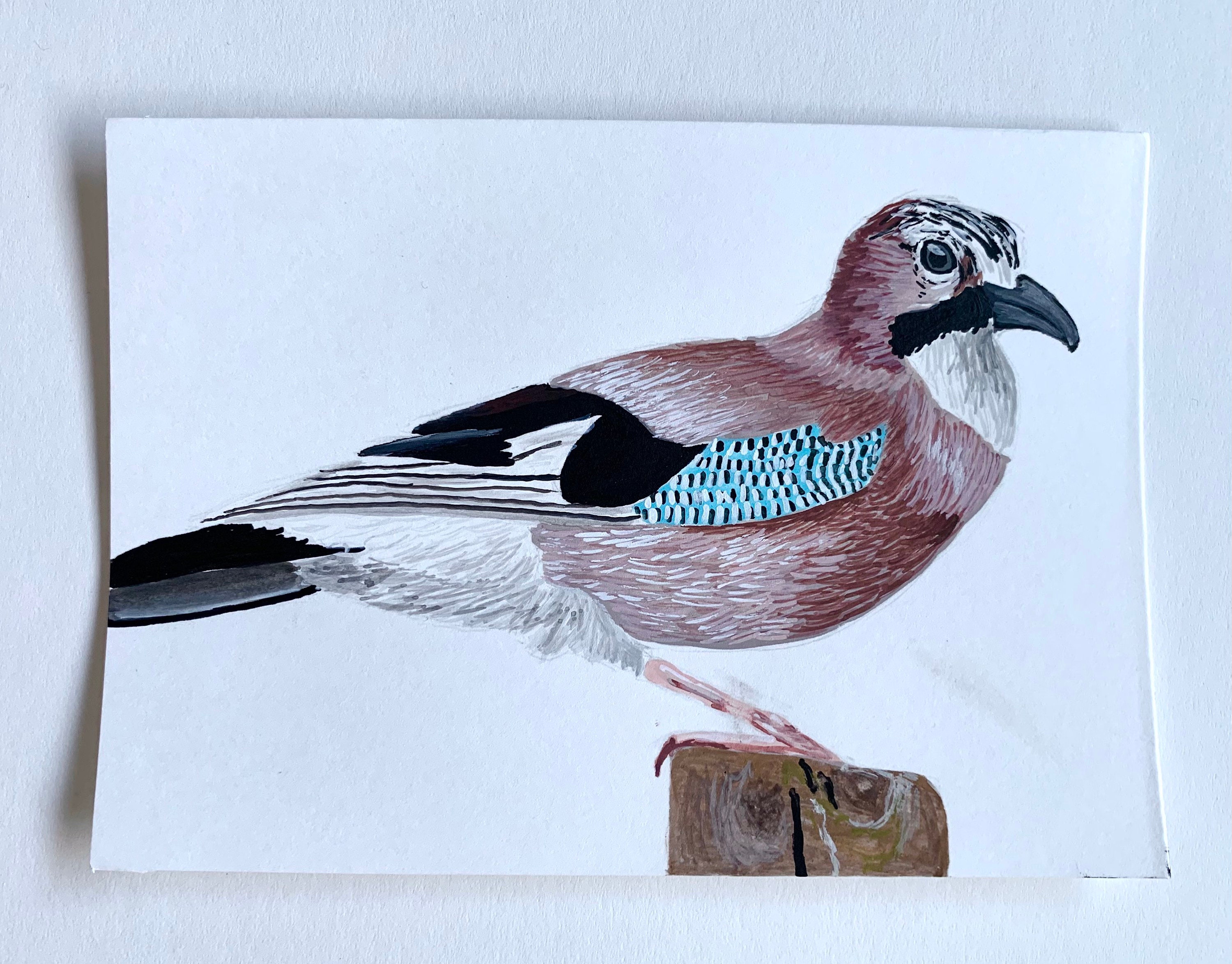 Gouache Bird Paintings // Original Artwork // A6 Bird Art | Etsy