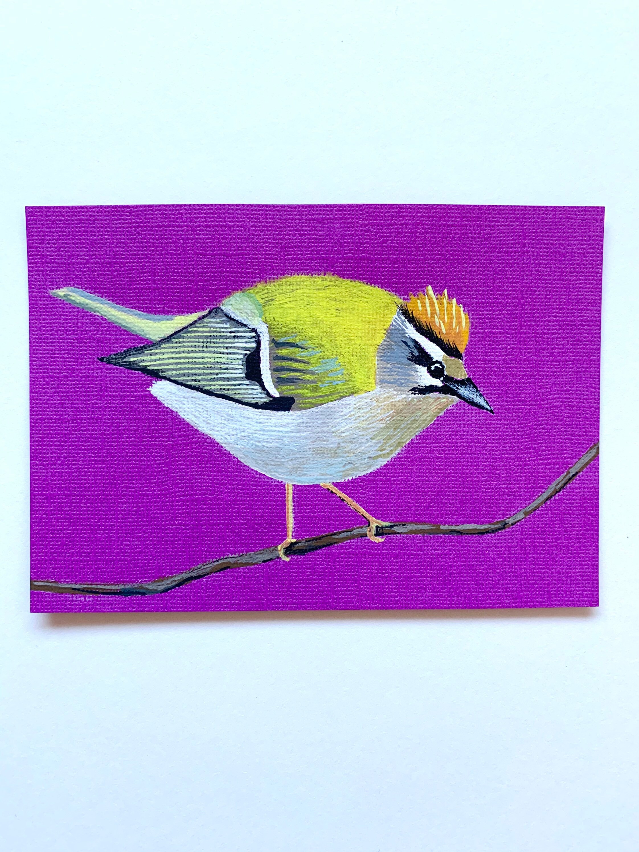 Gouache Bird Paintings / Original Artwork / A6 Bird Art | Etsy