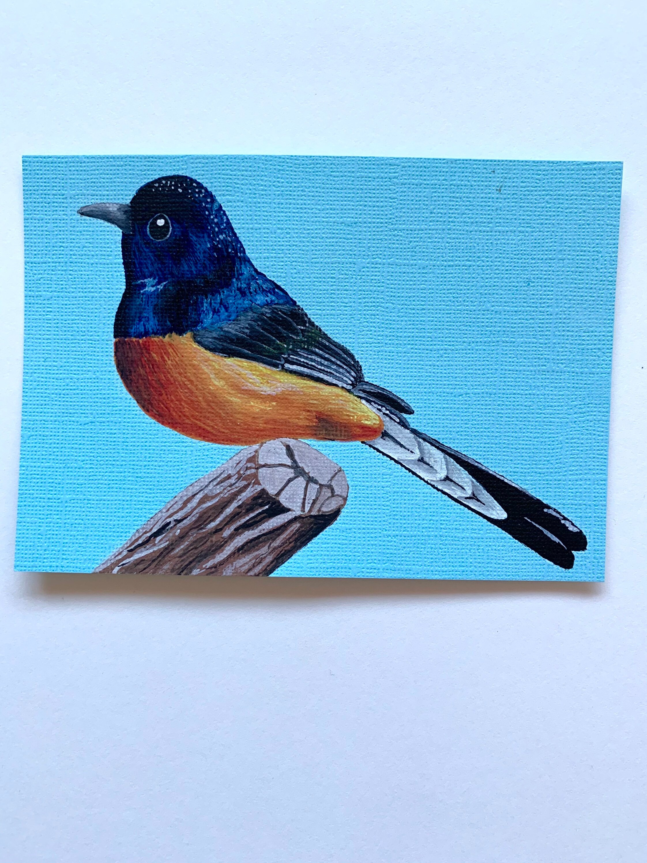 Gouache Bird Paintings // Original Artwork // A6 Bird Art | Etsy