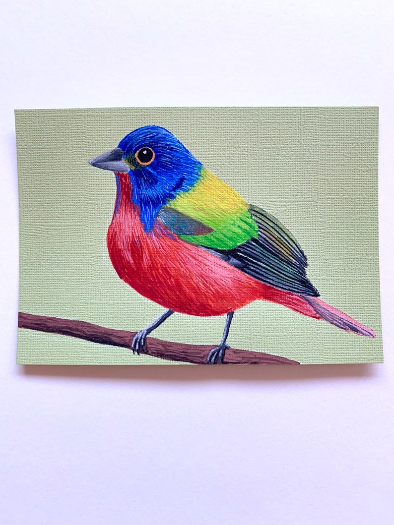 Gouache Bird Paintings // Original Artwork // A6 Bird Art - Etsy UK