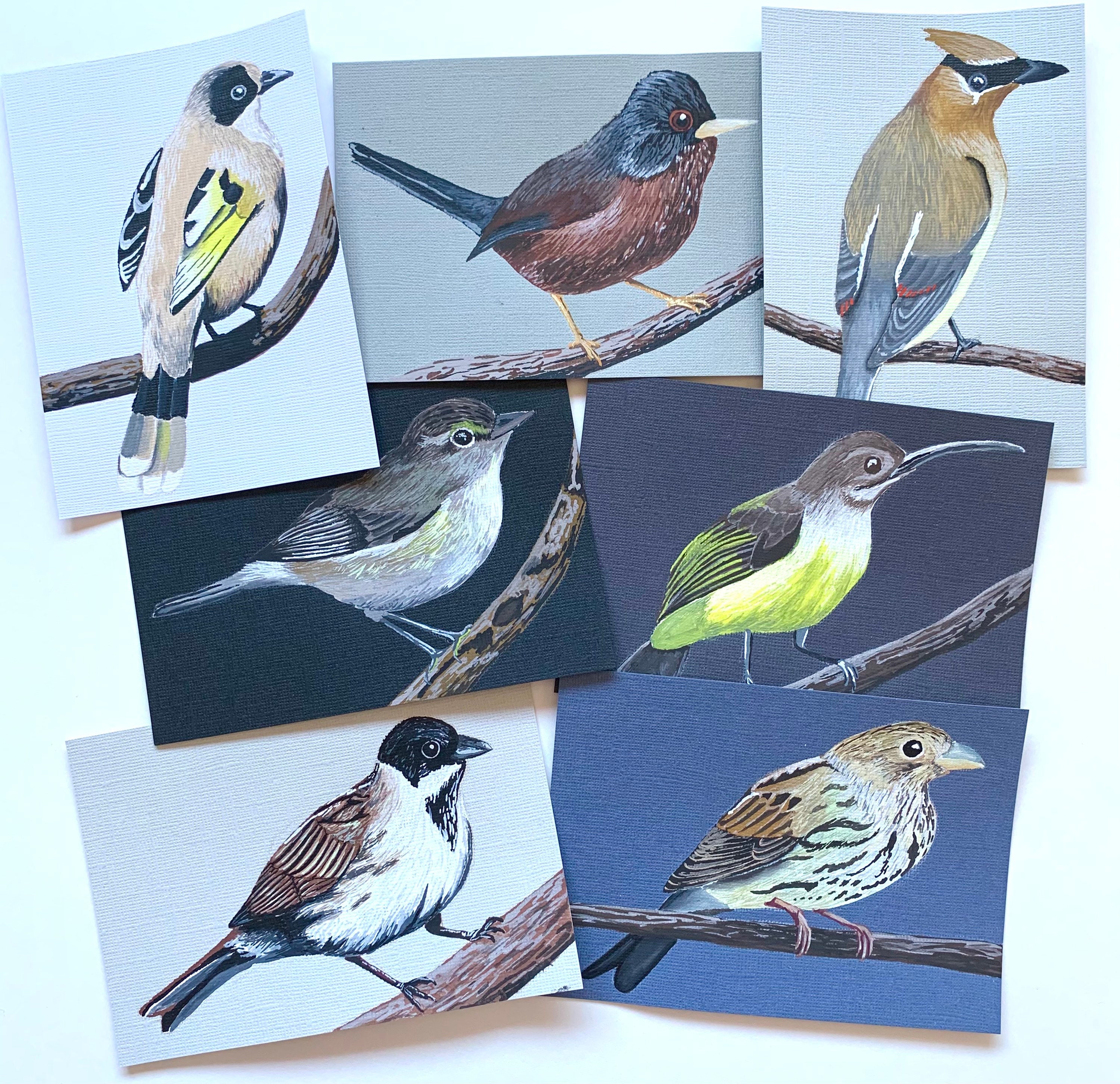 Gouache Bird Paintings // Original Artwork // A6 Bird Art | Etsy