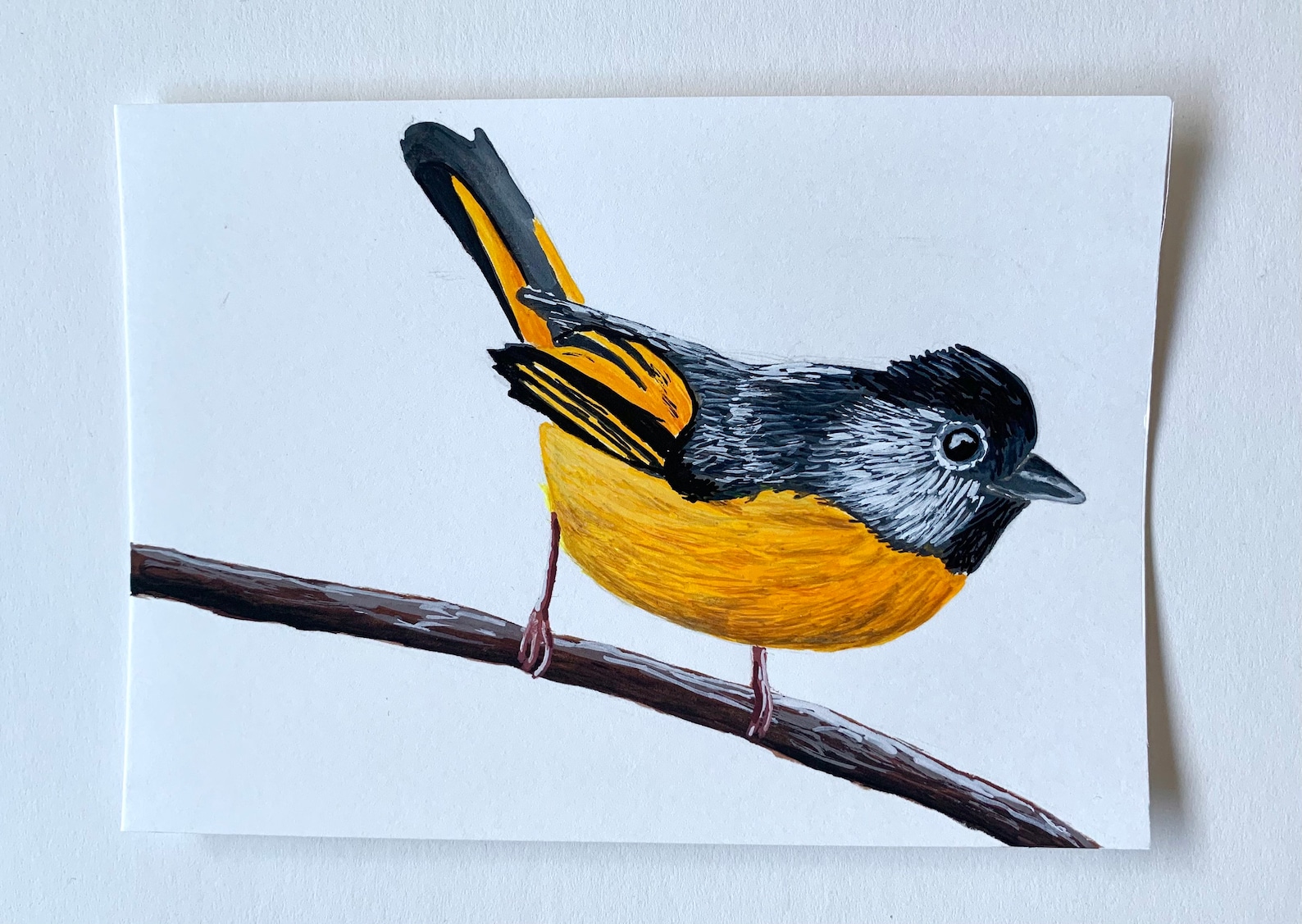 Gouache Bird Paintings // Original Artwork // A6 Bird Art - Etsy UK