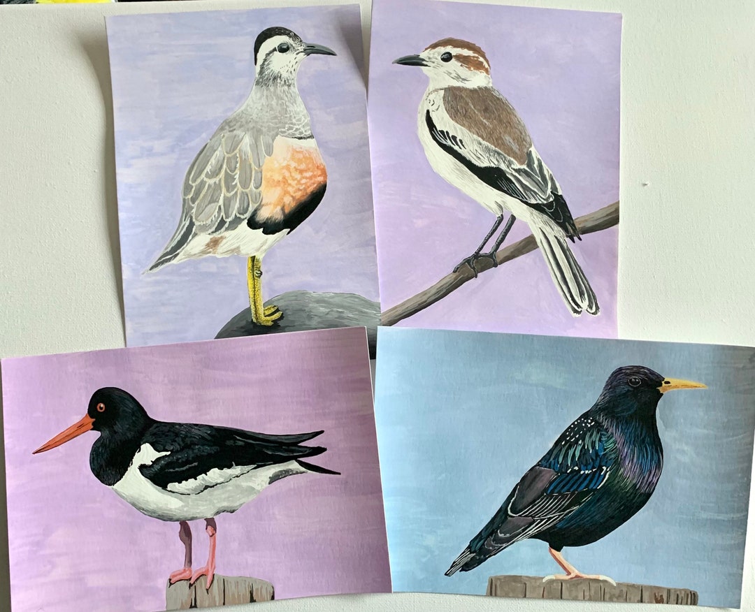 Gouache Bird Paintings // Original Animal Art - Etsy