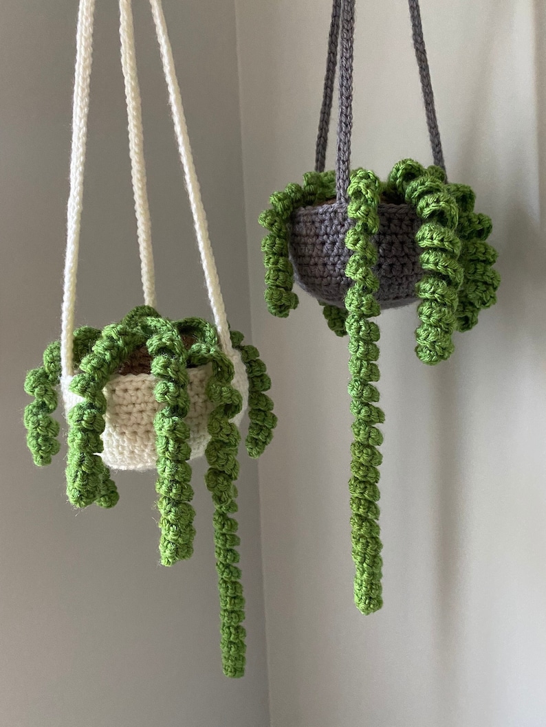 NEW LISTING! Crochet Large Hanging Curly Succulent - Etsy