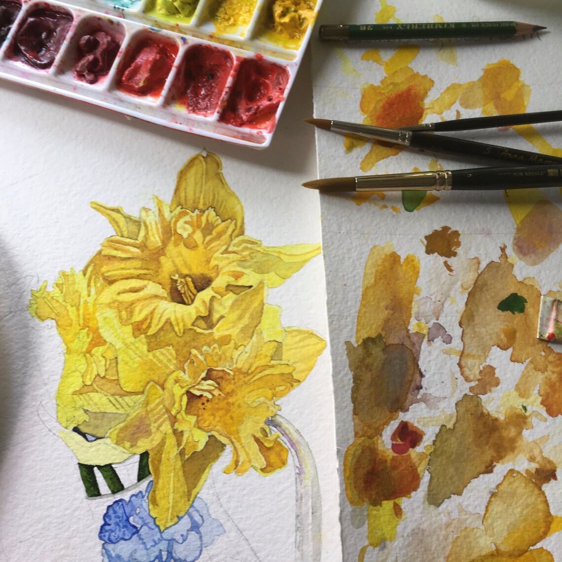 Watercolor Original Spode Blue Vase With Yellow Daffodils, Watercolor ...