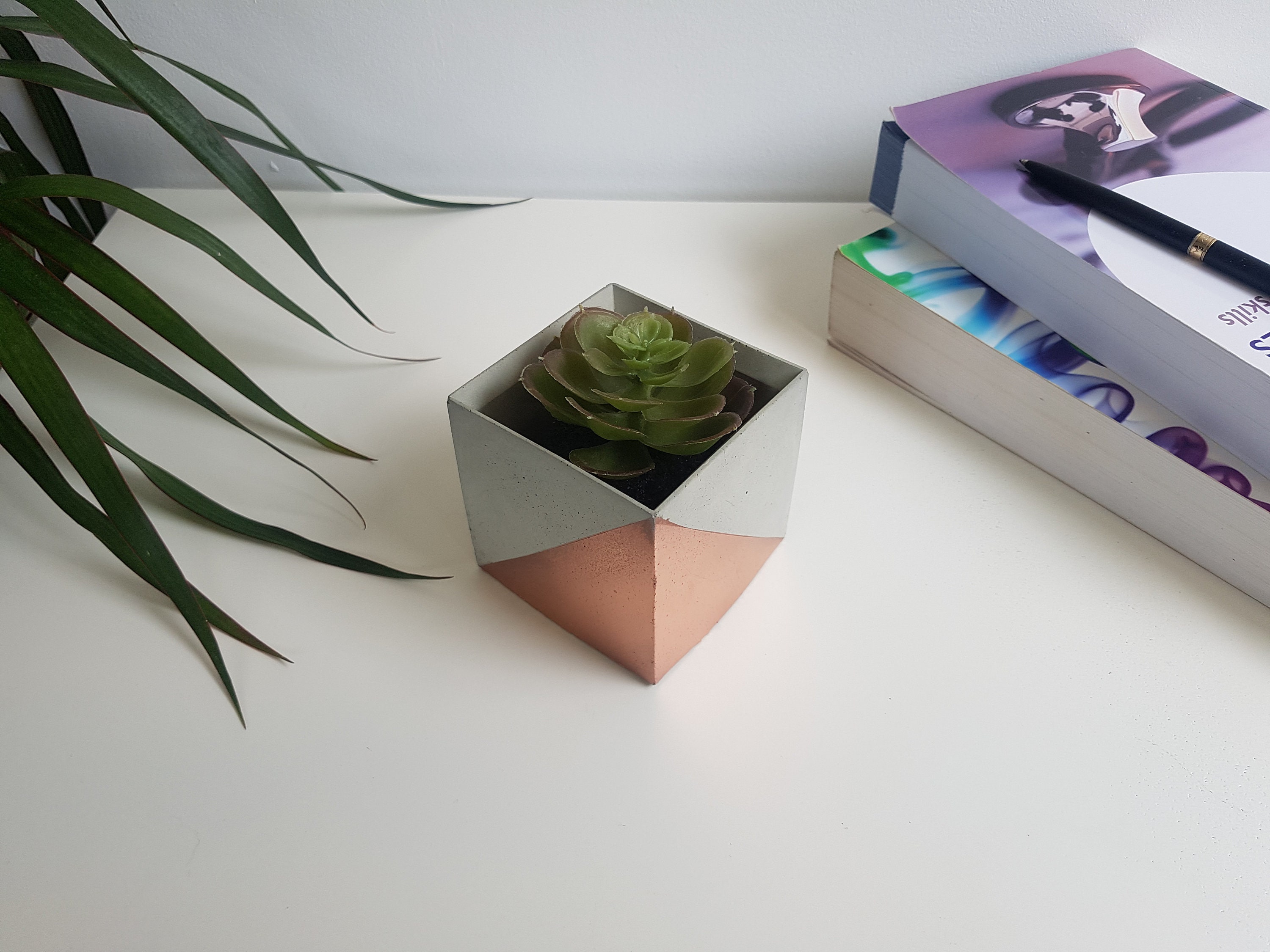 Square Concrete Succulent Planters