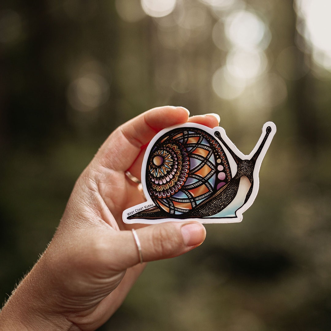 Colourful Snail Vinyl Sticker - Etsy