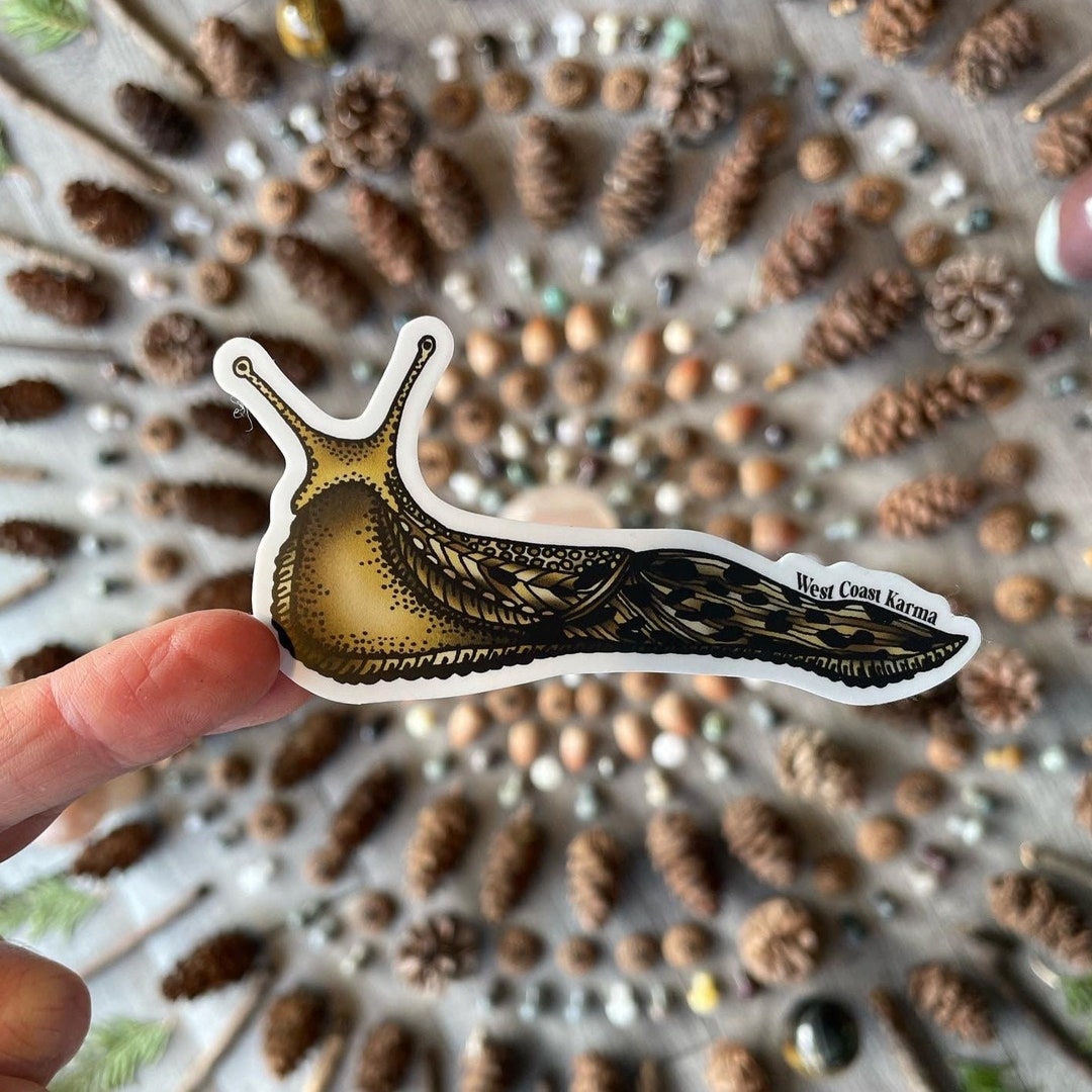 Colourful Banana Slug Sticker - Etsy