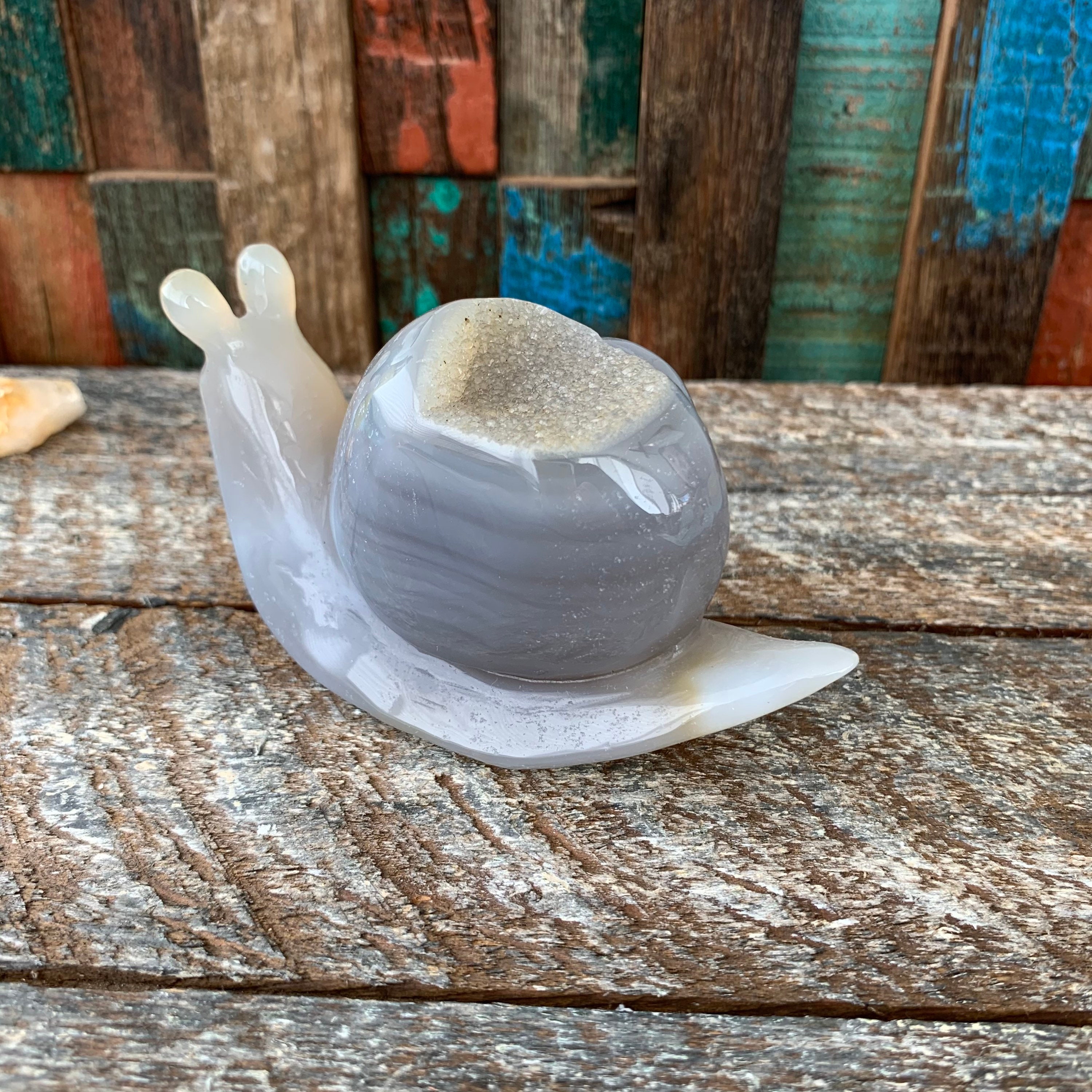 Carved Agate Geode Snail Stone Snail Carving Adorable | Etsy