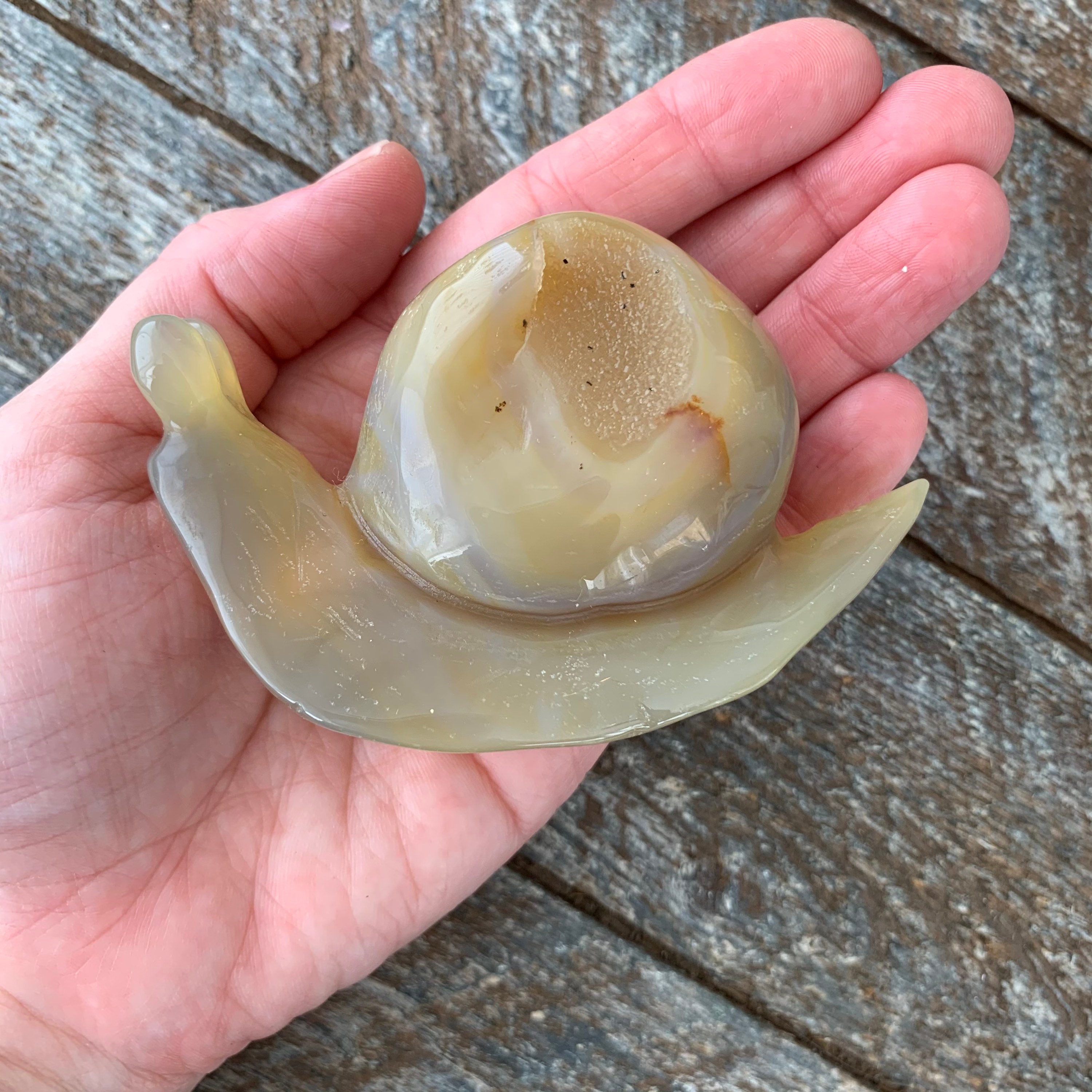 Carved Agate Geode Snail Stone Snail Carving Adorable | Etsy