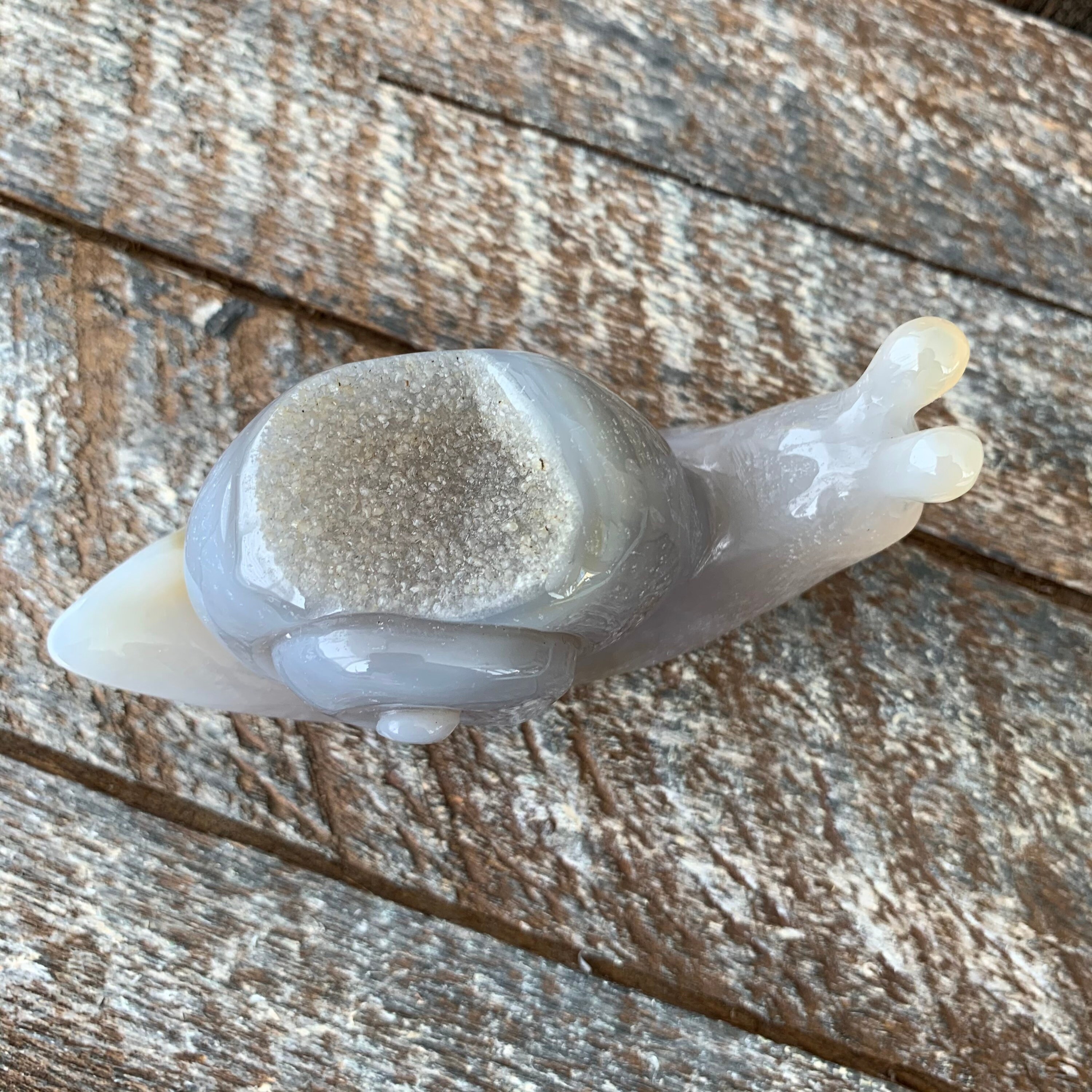 Carved Agate Geode Snail Stone Snail Carving Adorable | Etsy