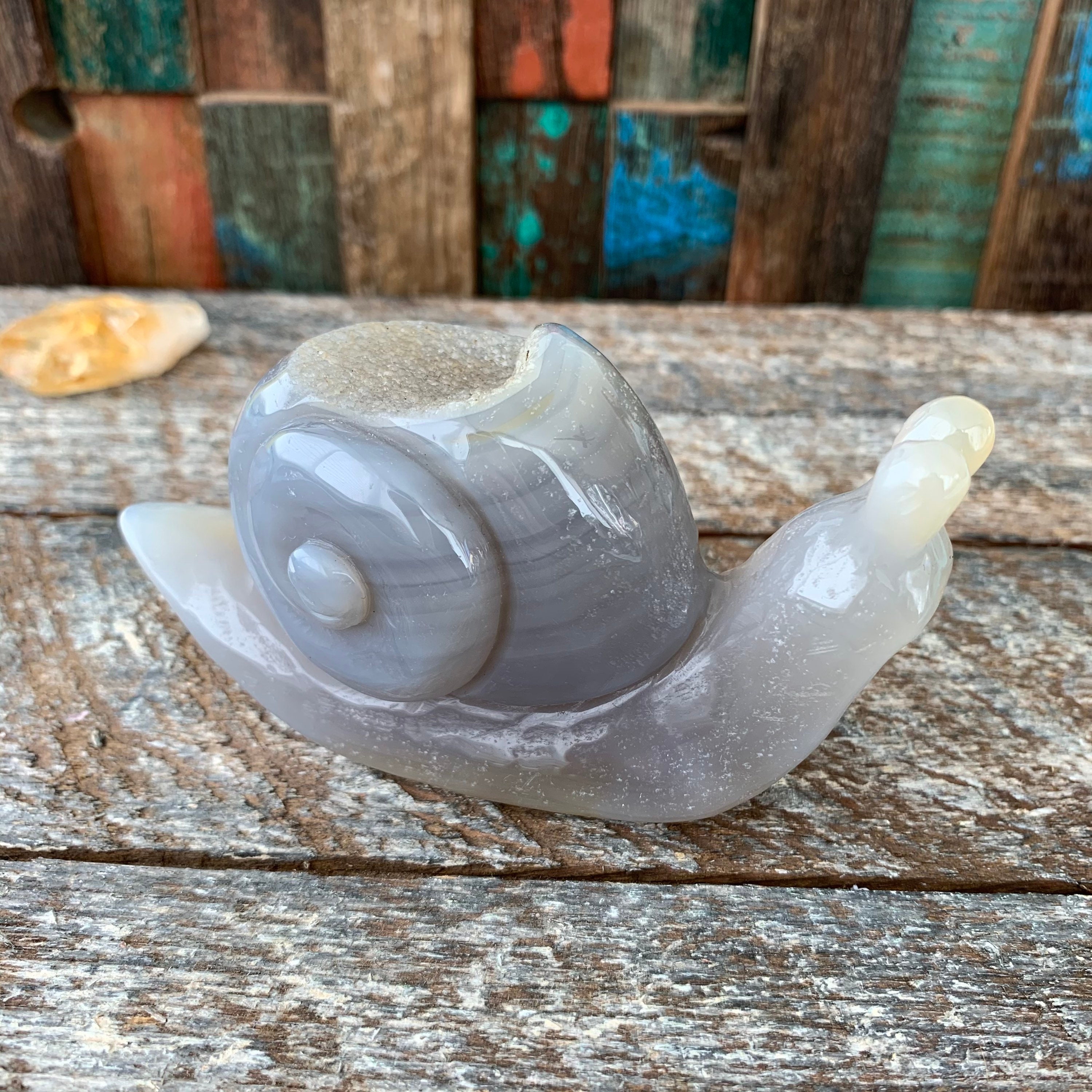 Carved Agate Geode Snail Stone Snail Carving Adorable | Etsy