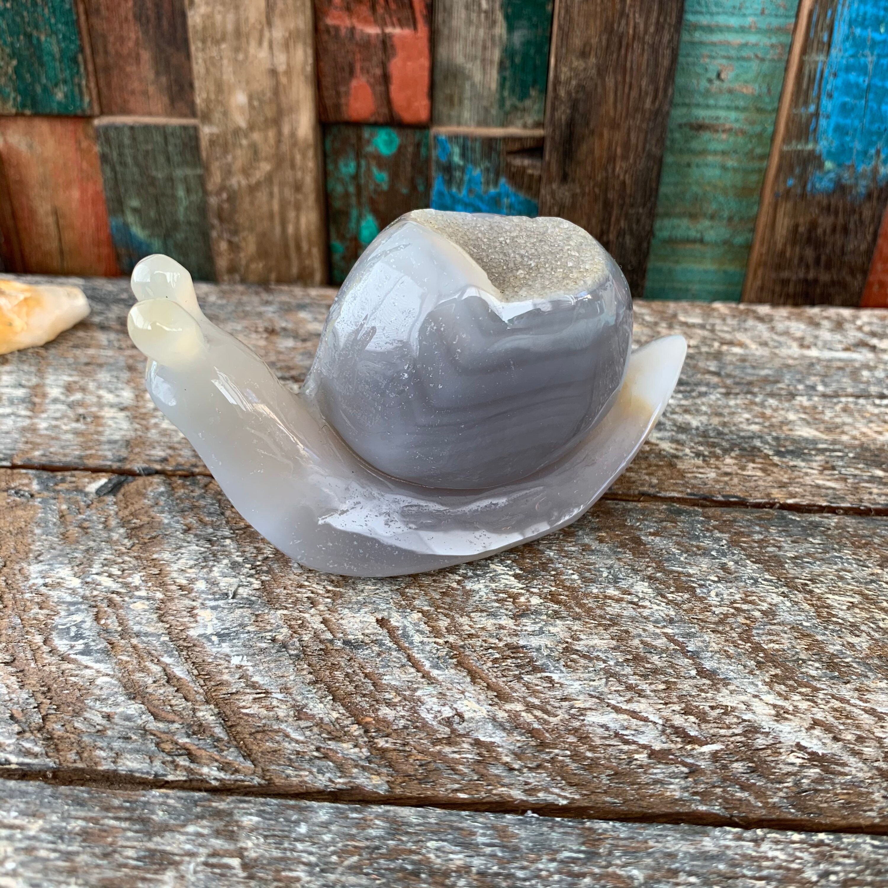 Carved Agate Geode Snail Stone Snail Carving Adorable | Etsy