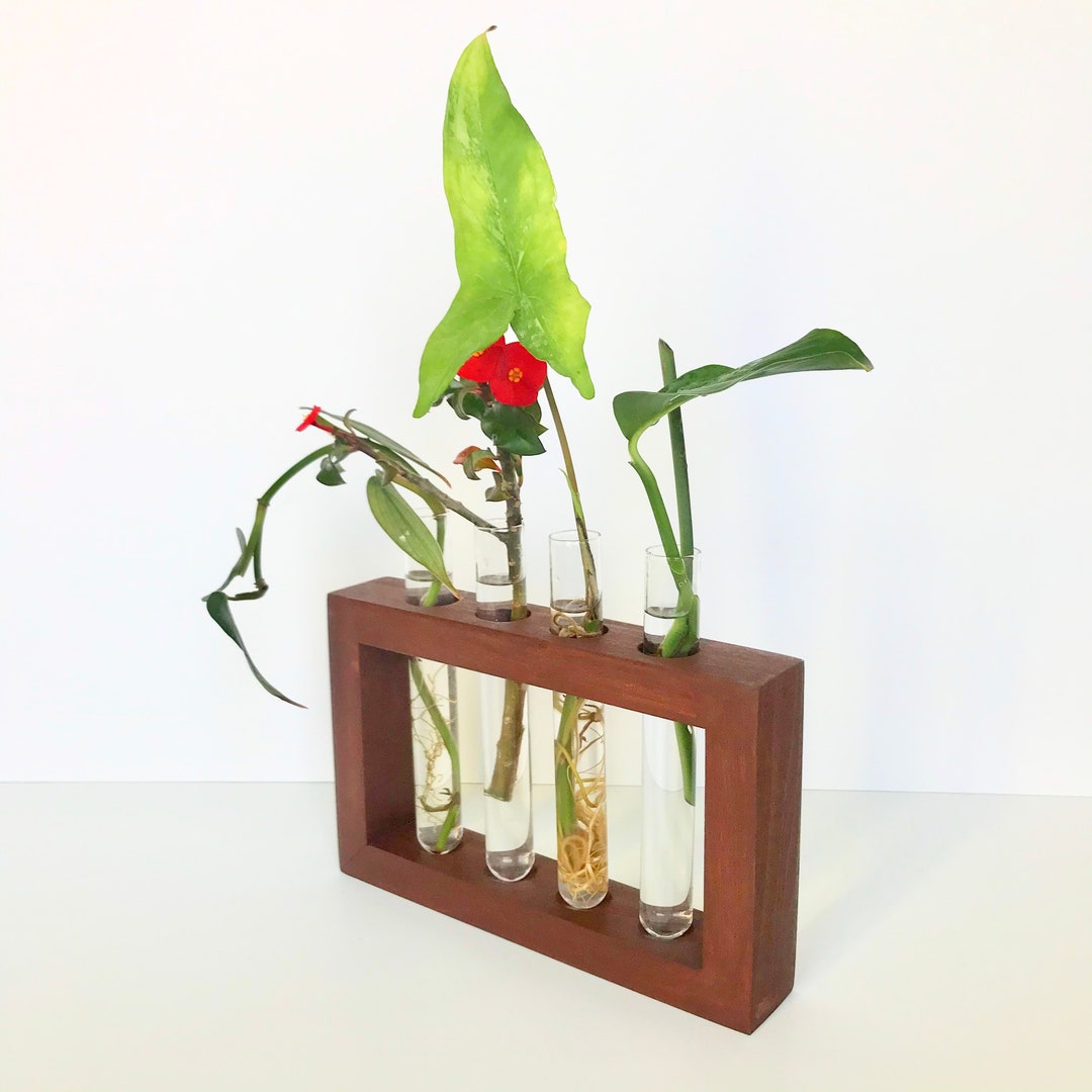 Propagation Station 4 Glass Tubes Vases Various Colors - Etsy