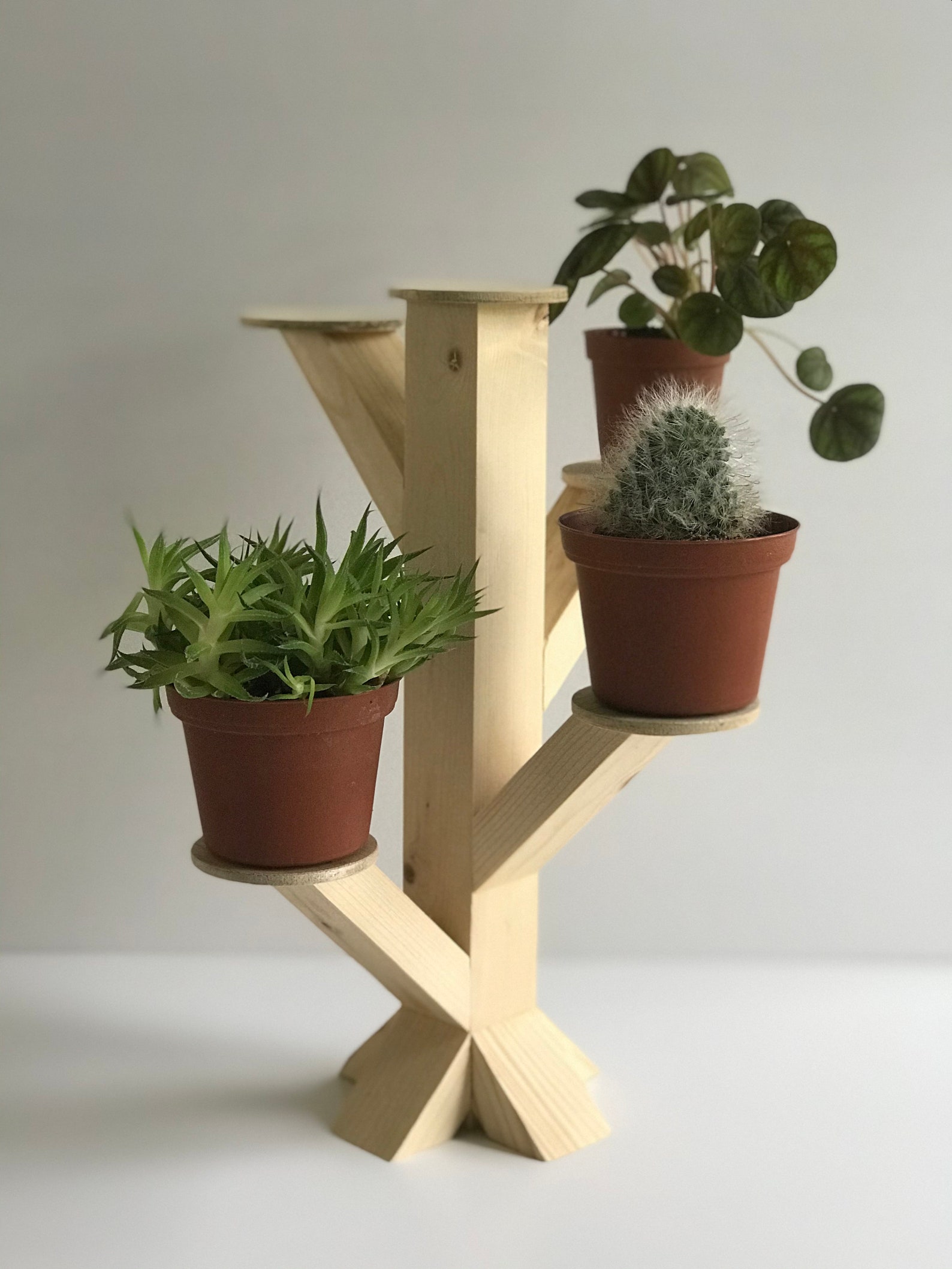 Multi Plant Table Top Wooden Plant Stand / Handmade / for - Etsy