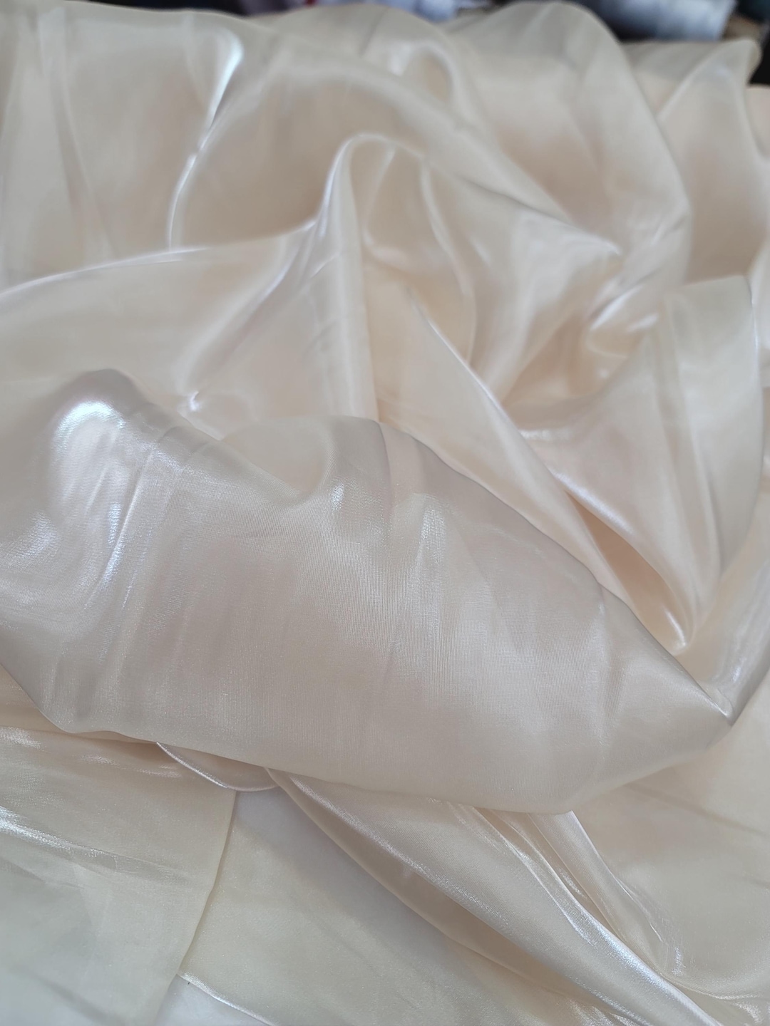 Fabric Sold by the Yard Champagne Silk Organza Two Tone Sheer ...