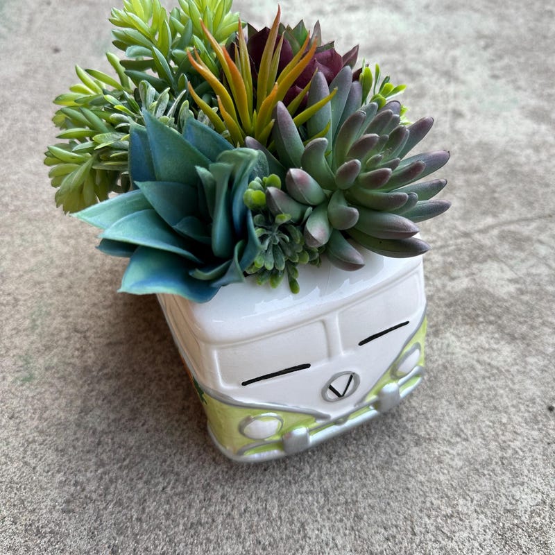 AndSucculentsDesigns - Etsy