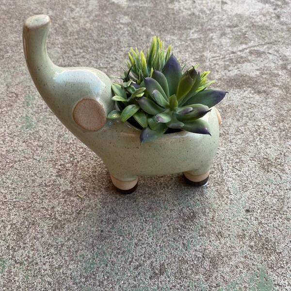 Elephant Planter - Etsy