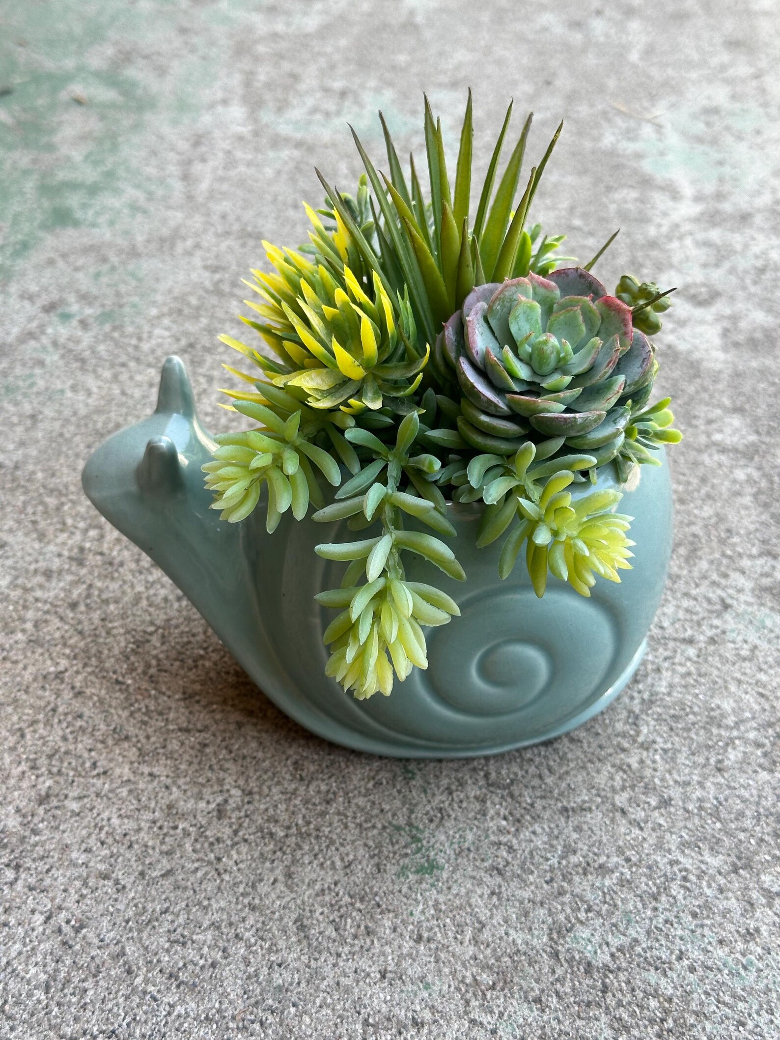 Snail Pot With Artificial Succulents - Etsy