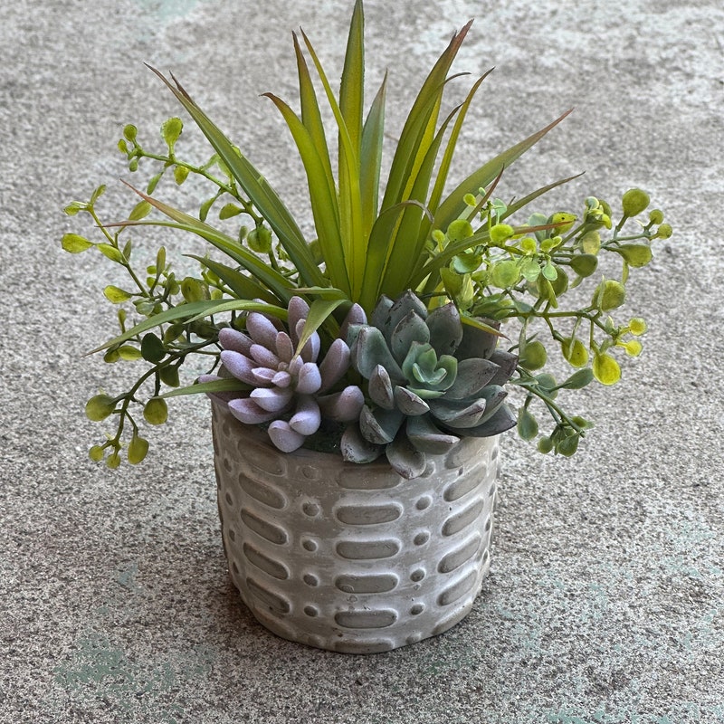 Faux Succulents - Etsy