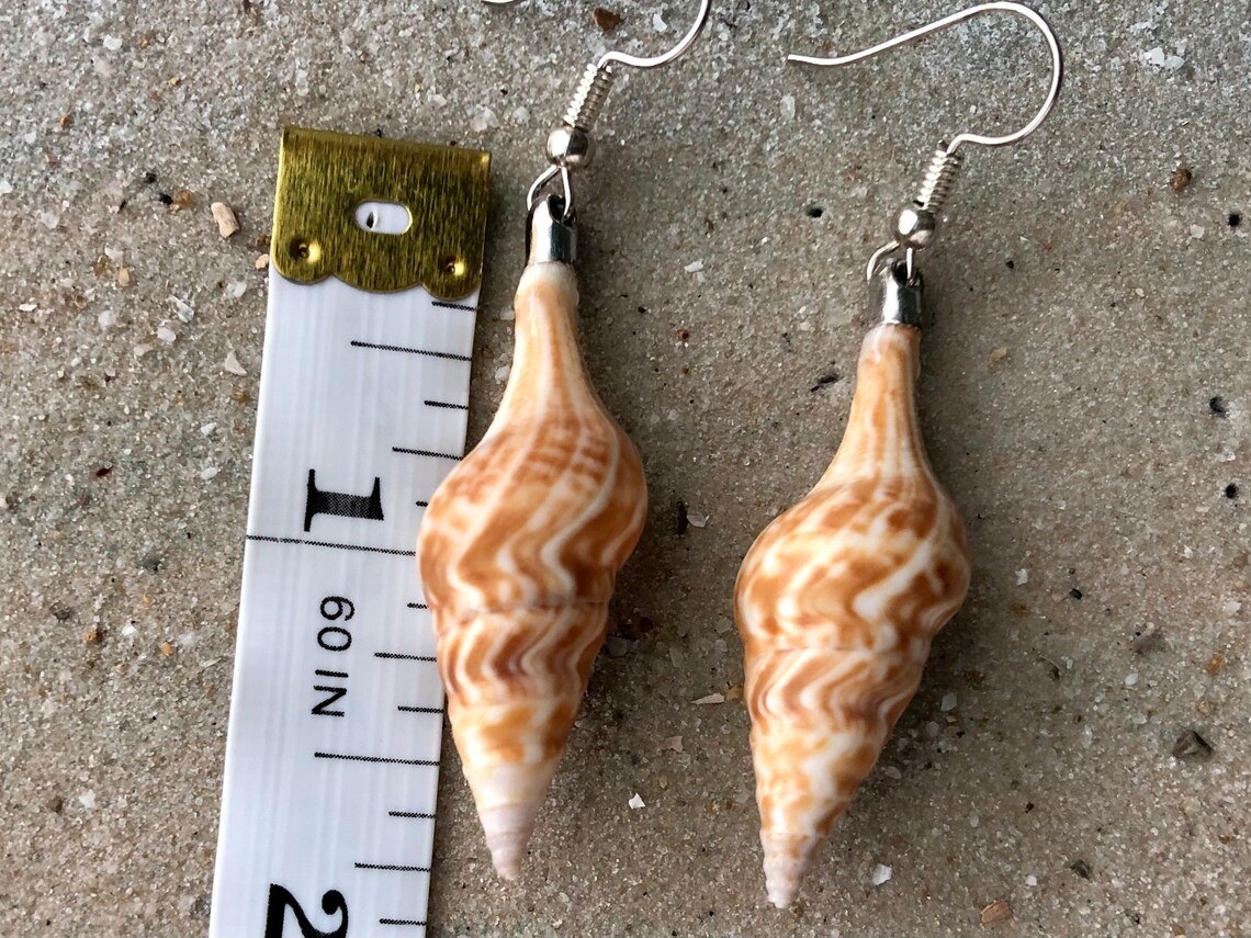 Seashell earrings natural shells | Etsy