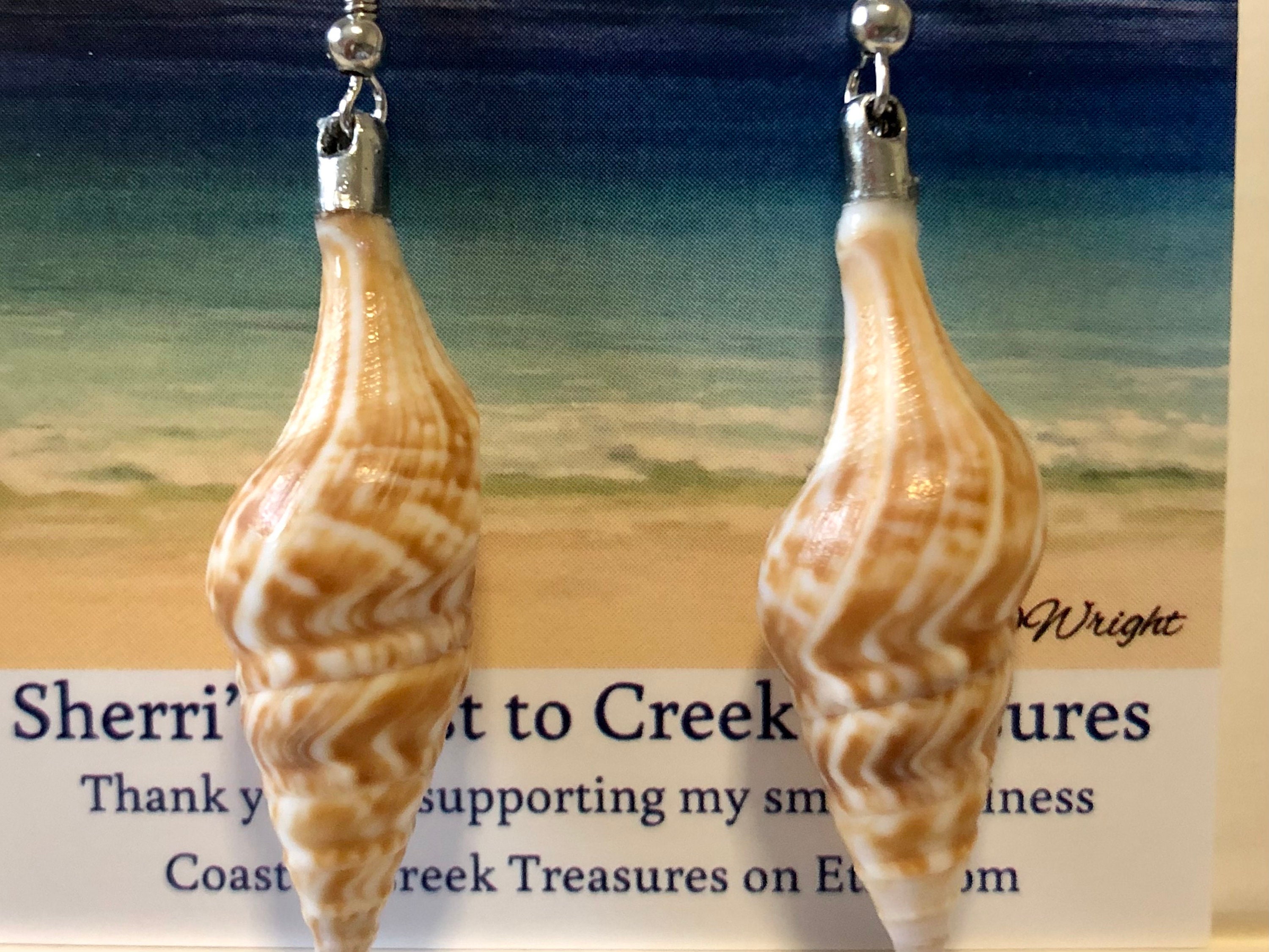 Seashell earrings natural shells | Etsy