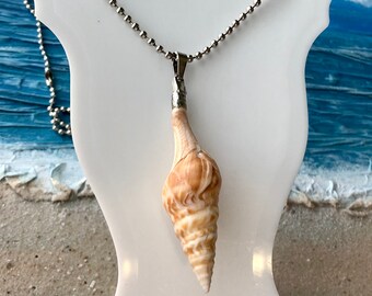 Spindle Shell - Etsy