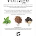 VOLTAGE Cologne | Hazbin Hotel | Vox | Helluvaboss | the Vees | Merch ...