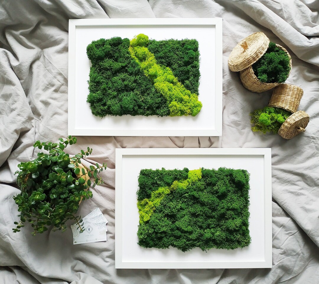 Picture of Moss ~ Wall Art ~ Moss ~ Moss Art Work ~ REAL Preserved Moss ...
