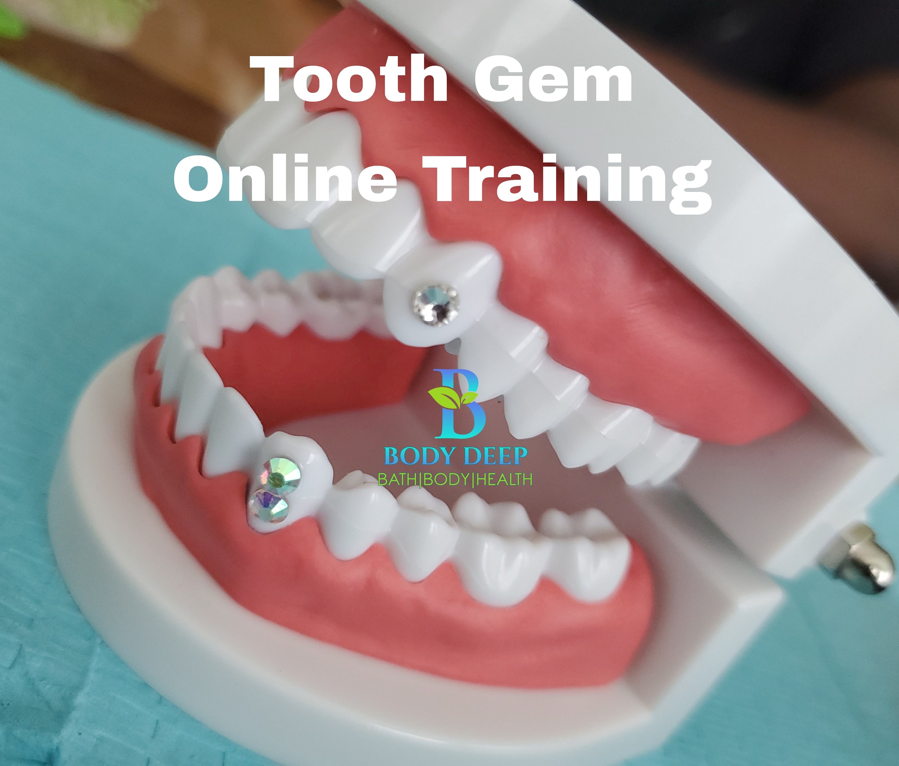 Tooth Gem Training Tooth Gem Certification Tooth Gem | Etsy