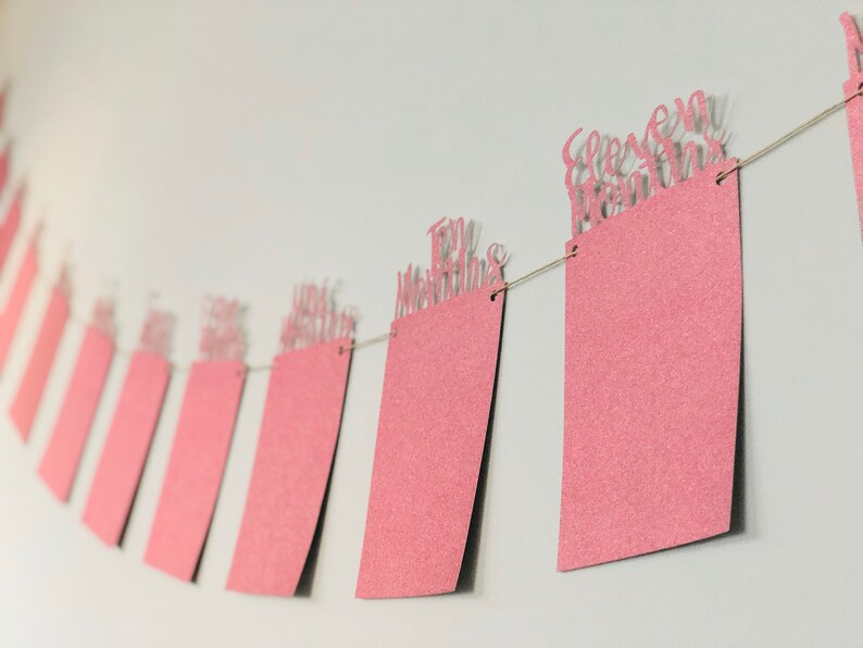 First Year Monthly Photo Banner 1-12 Months Banner Banner - Etsy