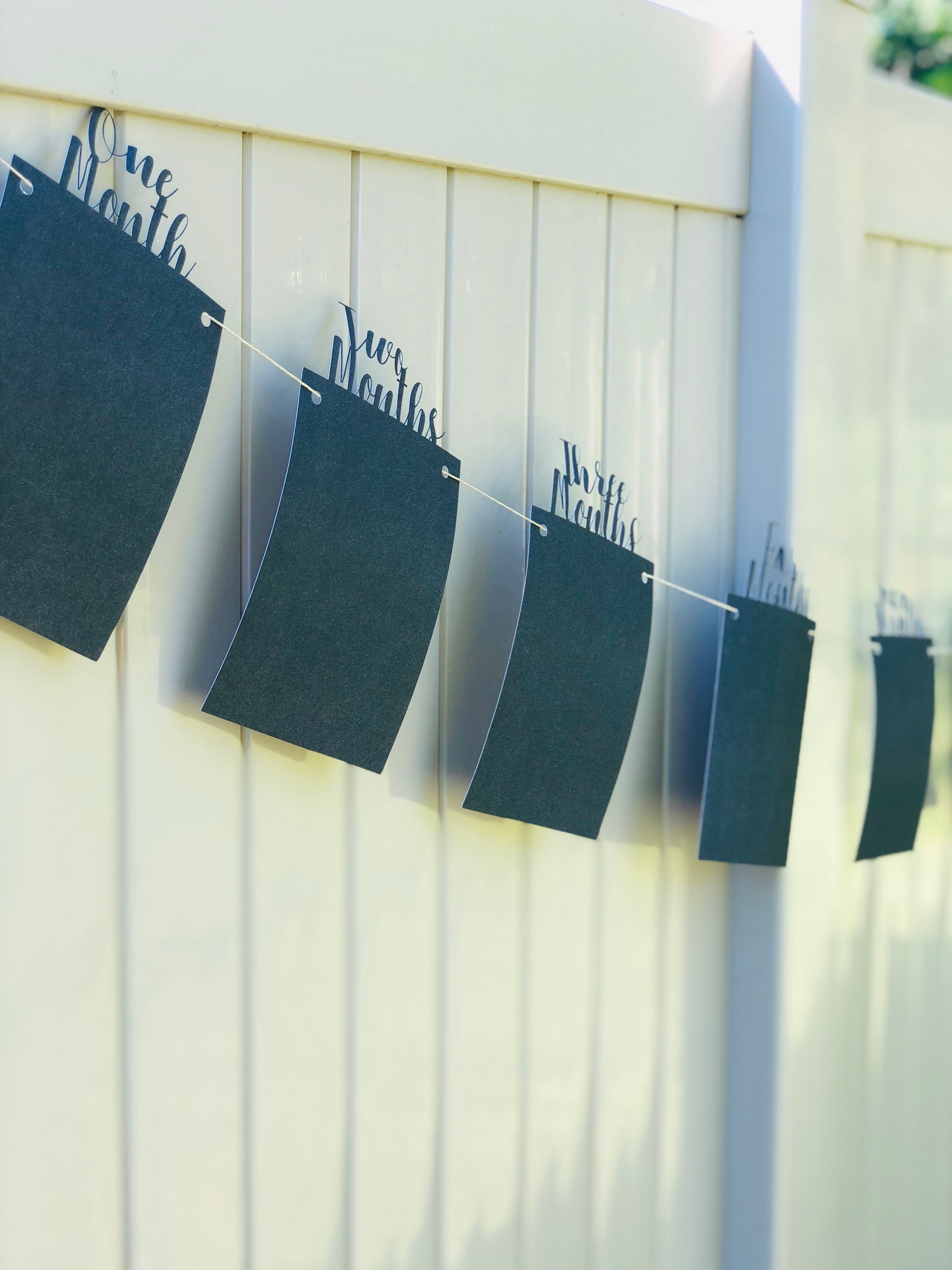 First Year Monthly Photo Banner 1-12 months banner banner | Etsy