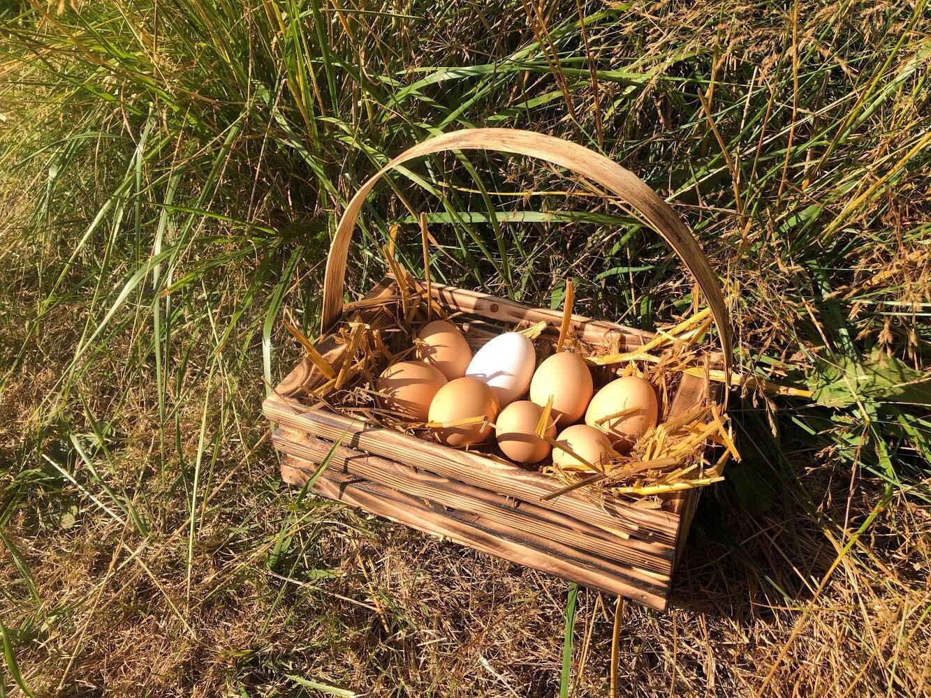 Handcrafted Wooden Baskets - Etsy