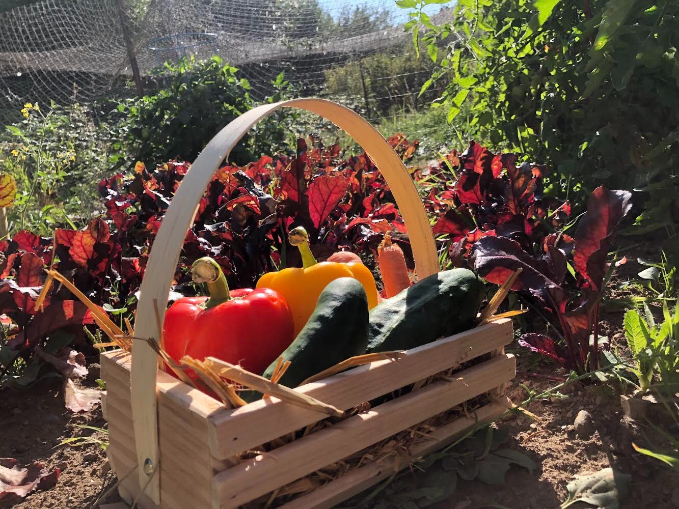 Handcrafted Wooden Baskets - Etsy