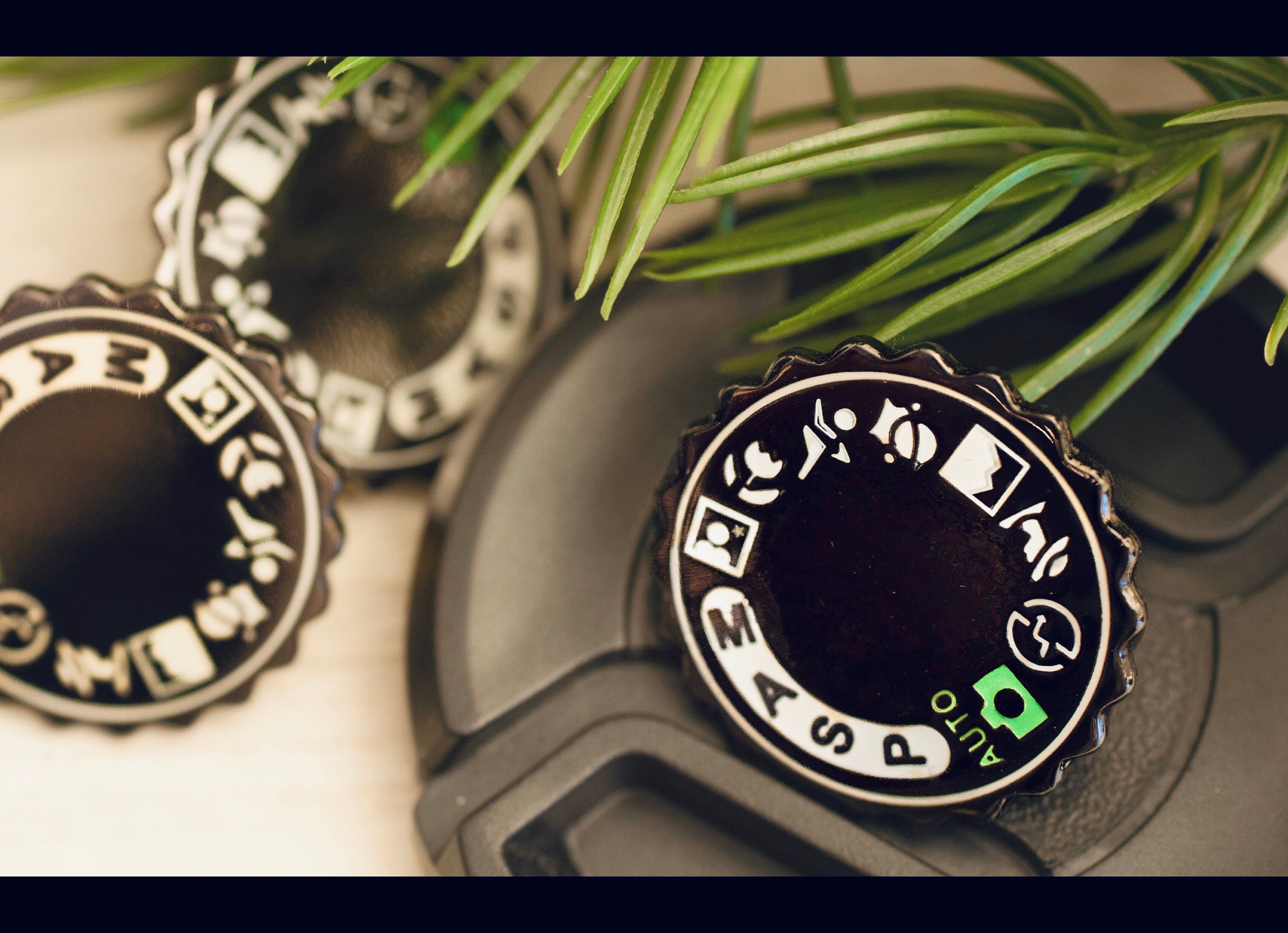 DSLR Nikon Camera Mode Setting Dial Hard Enamel Pin Black - Etsy