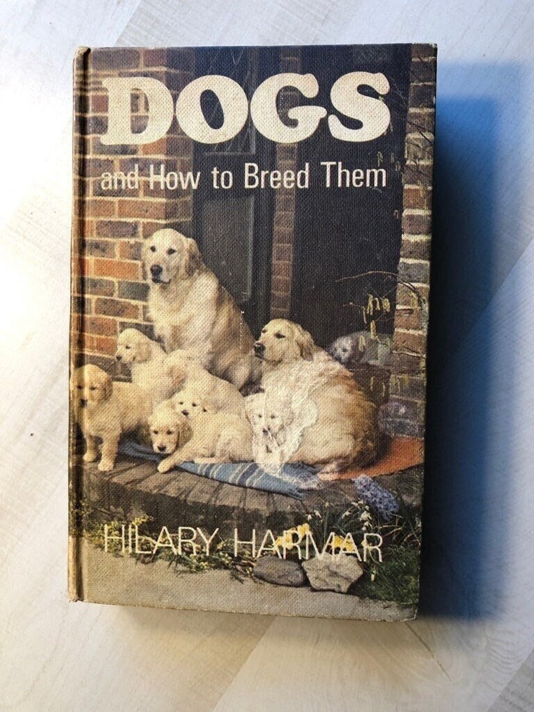 In Good Overall Vintage Condition "dogs and How to Breed Them" by ...