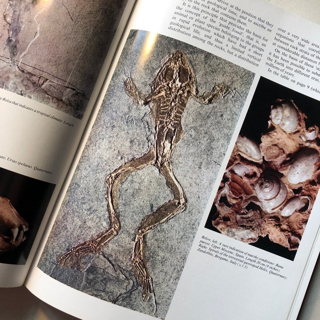 In Nearly Fine Vintage Condition Hardcover 1972/1973 English Version ...