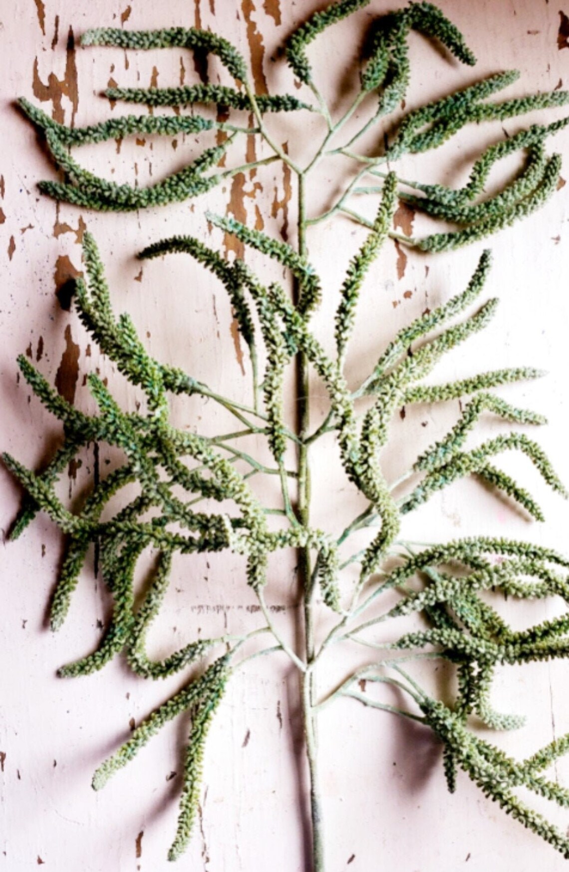 Sage Green/catkin/spray/greenery/floral Design/craft | Etsy