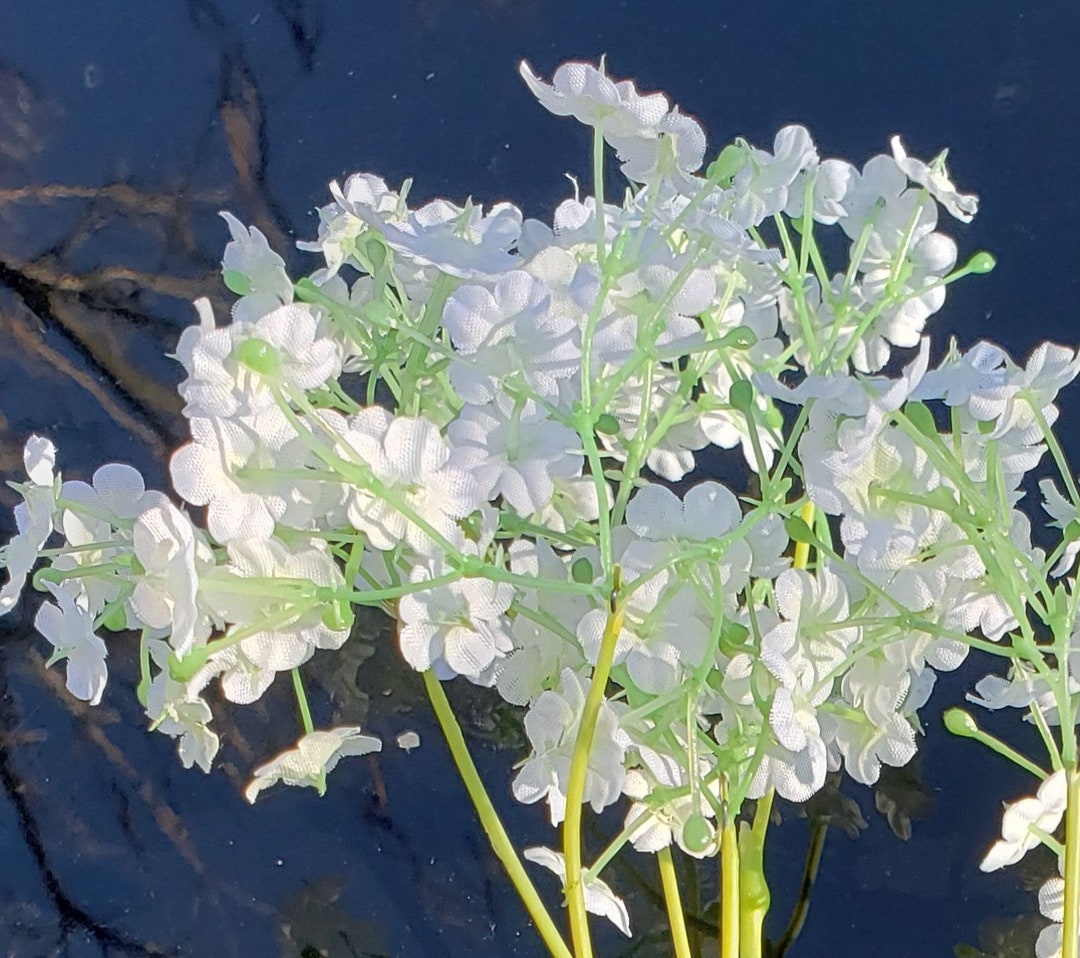 White/mini Flower/spray/bouquets/centerpieces/floral Design/craft ...