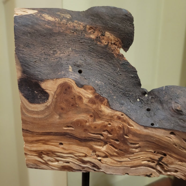 Live Edge Wormy & Burly Apple Wood Slab Sculpture - Etsy